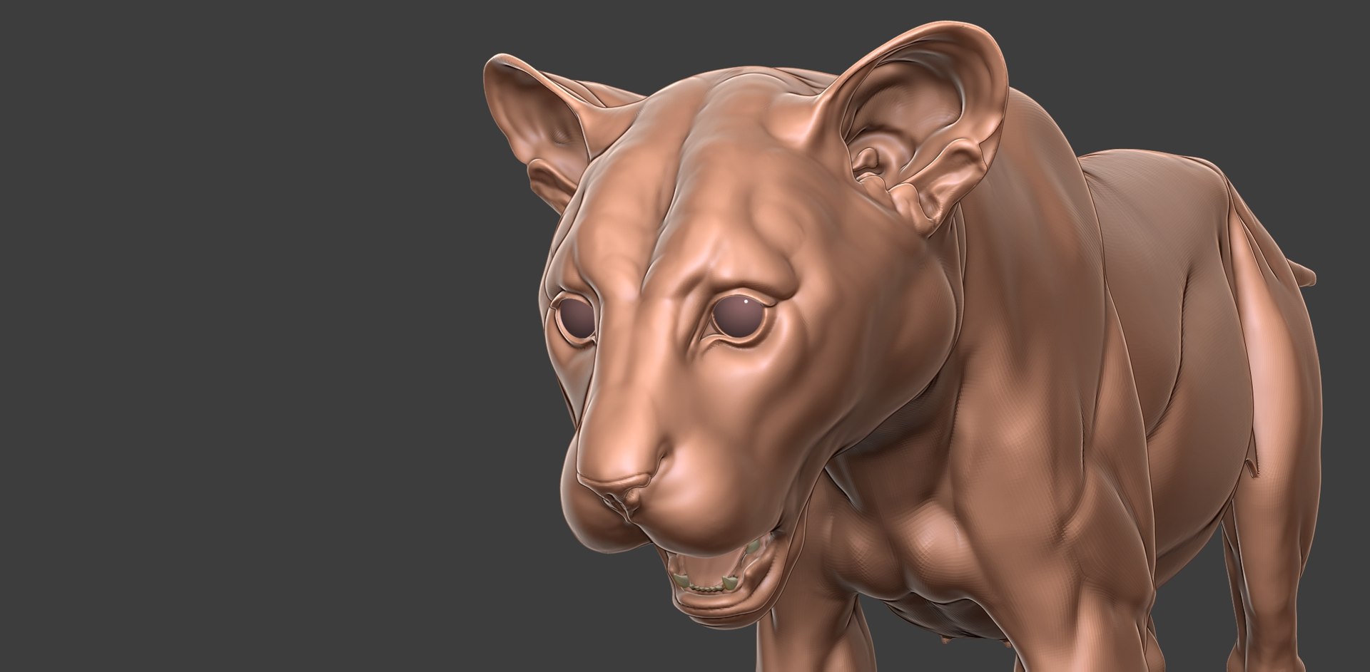 3D Leopard Cub Primary Forms Zbrush Sculpt model - TurboSquid 1820472