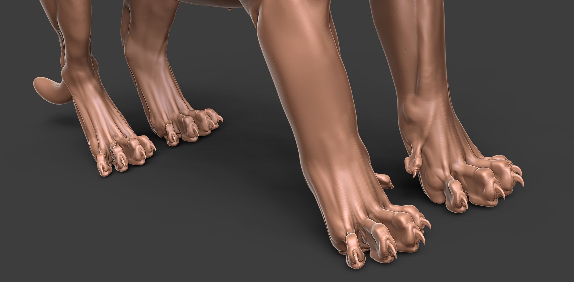 3D Leopard Cub Primary Forms Zbrush Sculpt model - TurboSquid 1820472