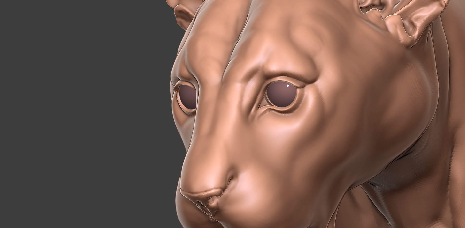 3D Leopard Cub Primary Forms Zbrush Sculpt model - TurboSquid 1820472