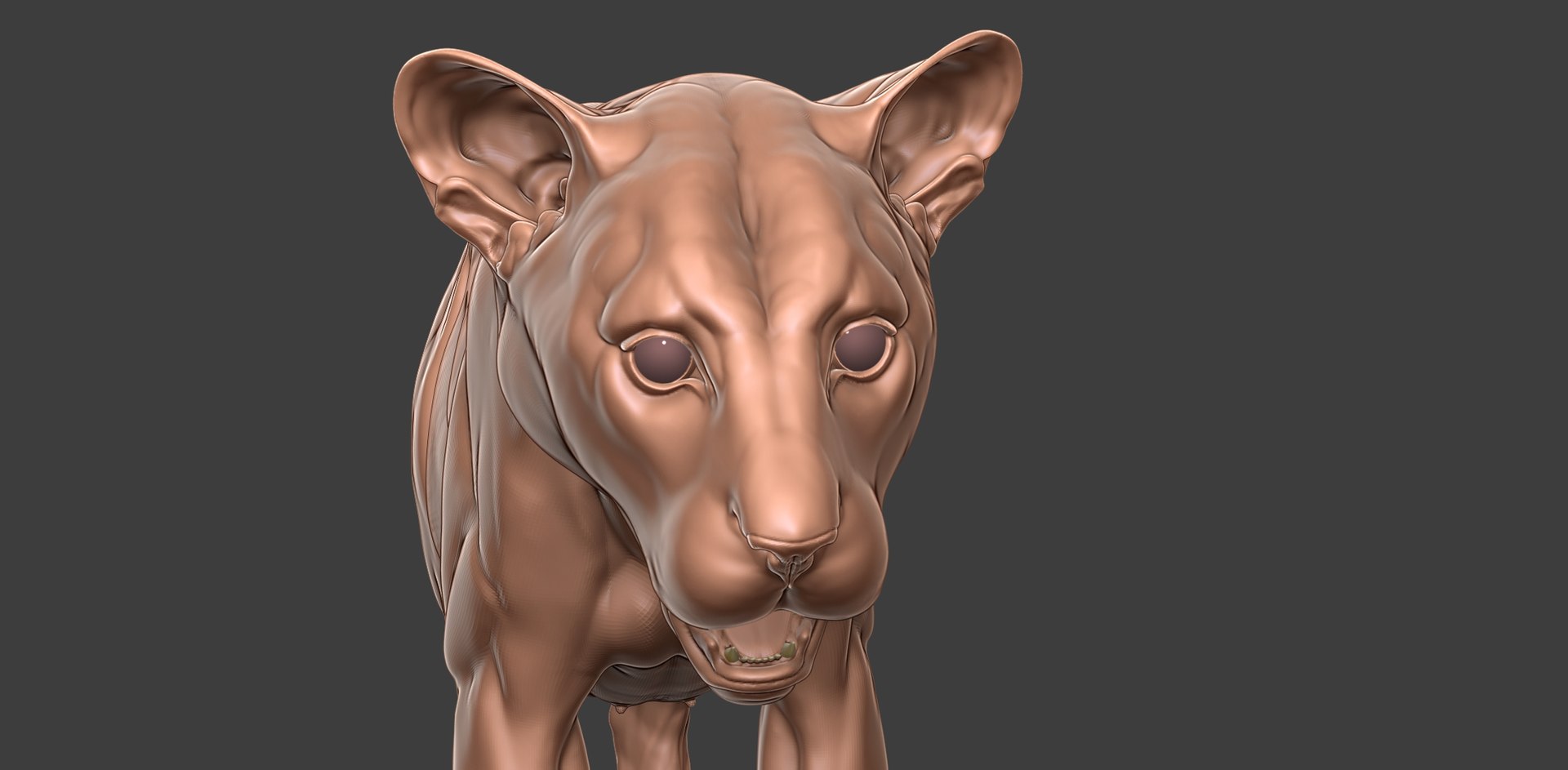 3D Leopard Cub Primary Forms Zbrush Sculpt model - TurboSquid 1820472