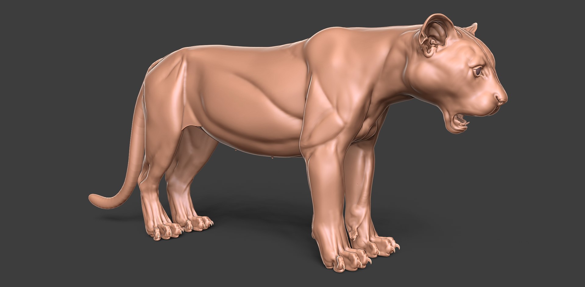 3D Leopard Cub Primary Forms Zbrush Sculpt model - TurboSquid 1820472