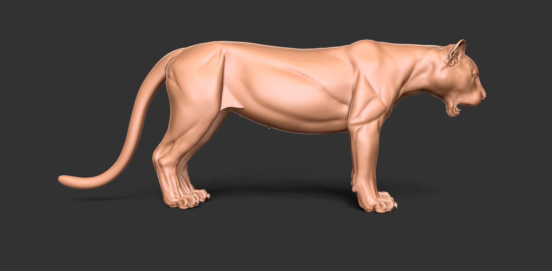 Leopard Cub formas primárias Zbrush Sculpt Modelo 3D - TurboSquid 1820472