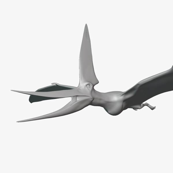 Nyctosaurus Basemesh Low Poly3D模型 - TurboSquid 2107894