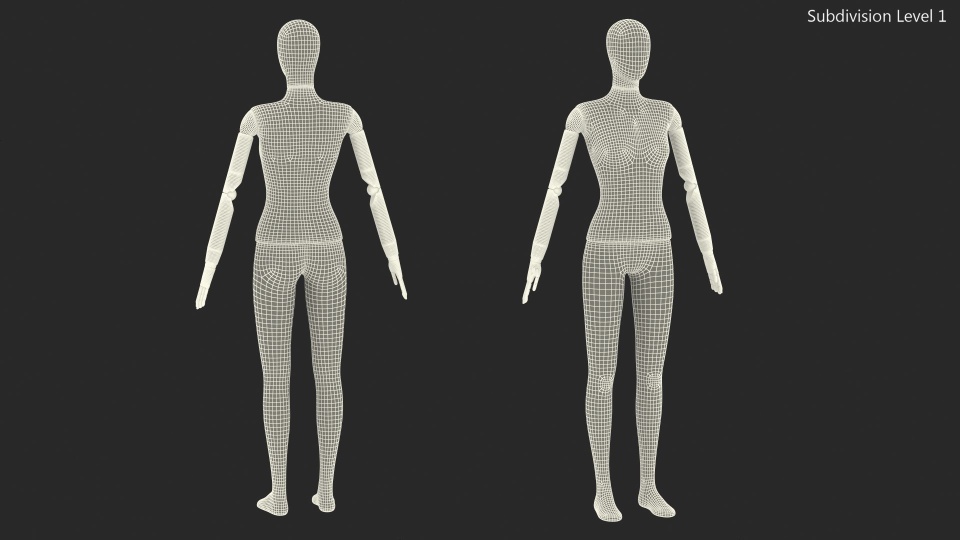 Flexible Female Mannequin Rigged For Cinema 4D 3D - TurboSquid 1871830
