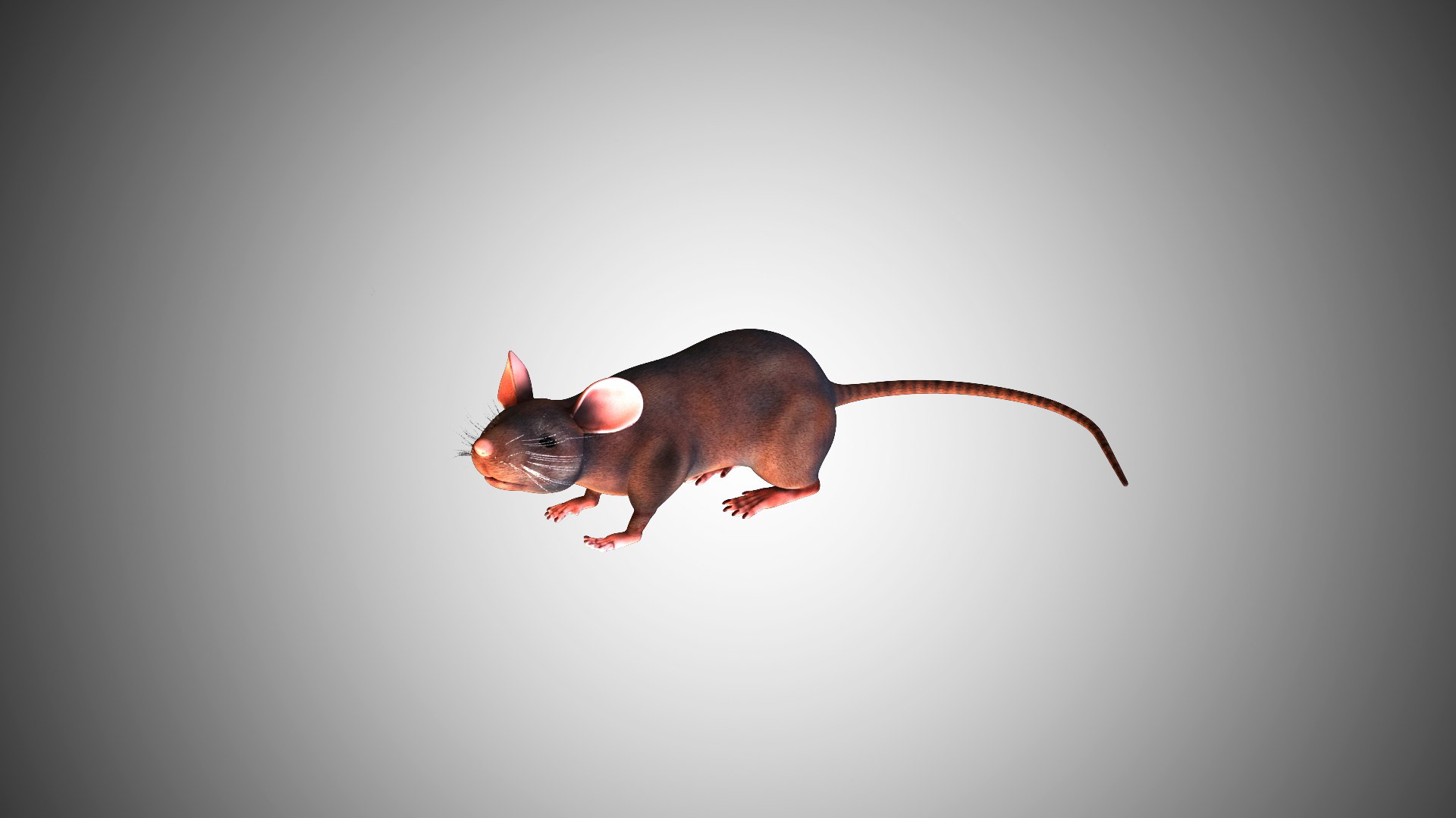 Rat Mouse 3D Model - TurboSquid 1589857