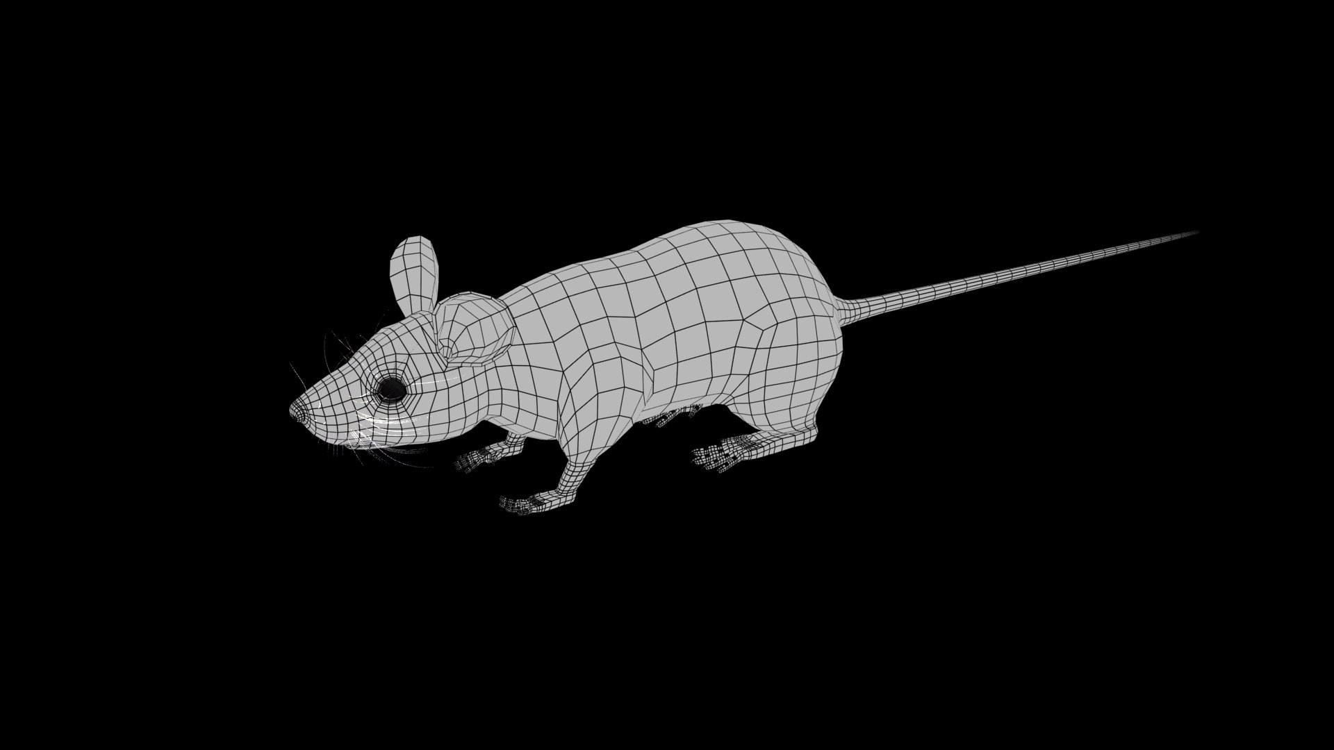 Rat Mouse 3D Model - TurboSquid 1589857