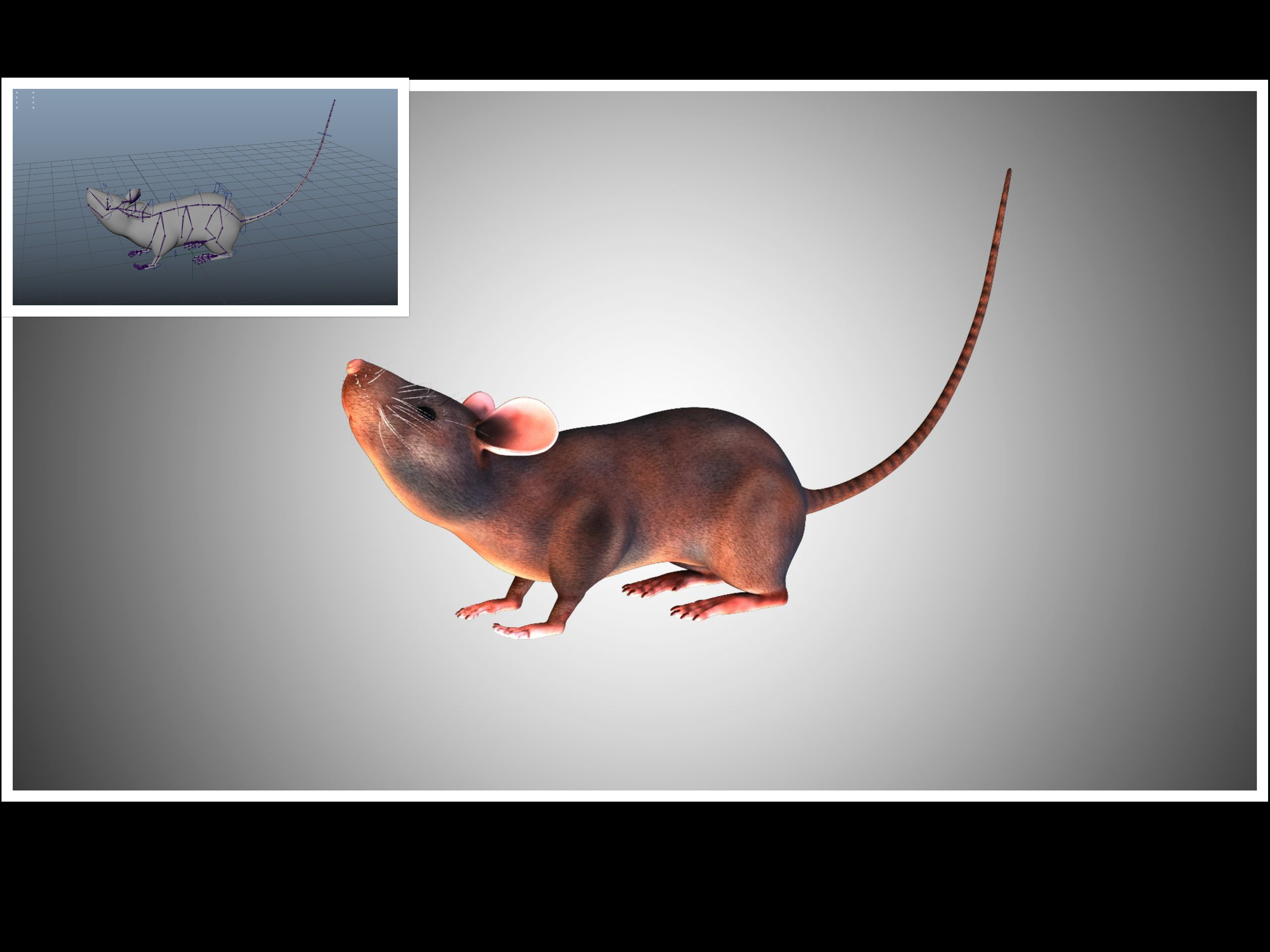 Rat mouse 3D model - TurboSquid 1589857
