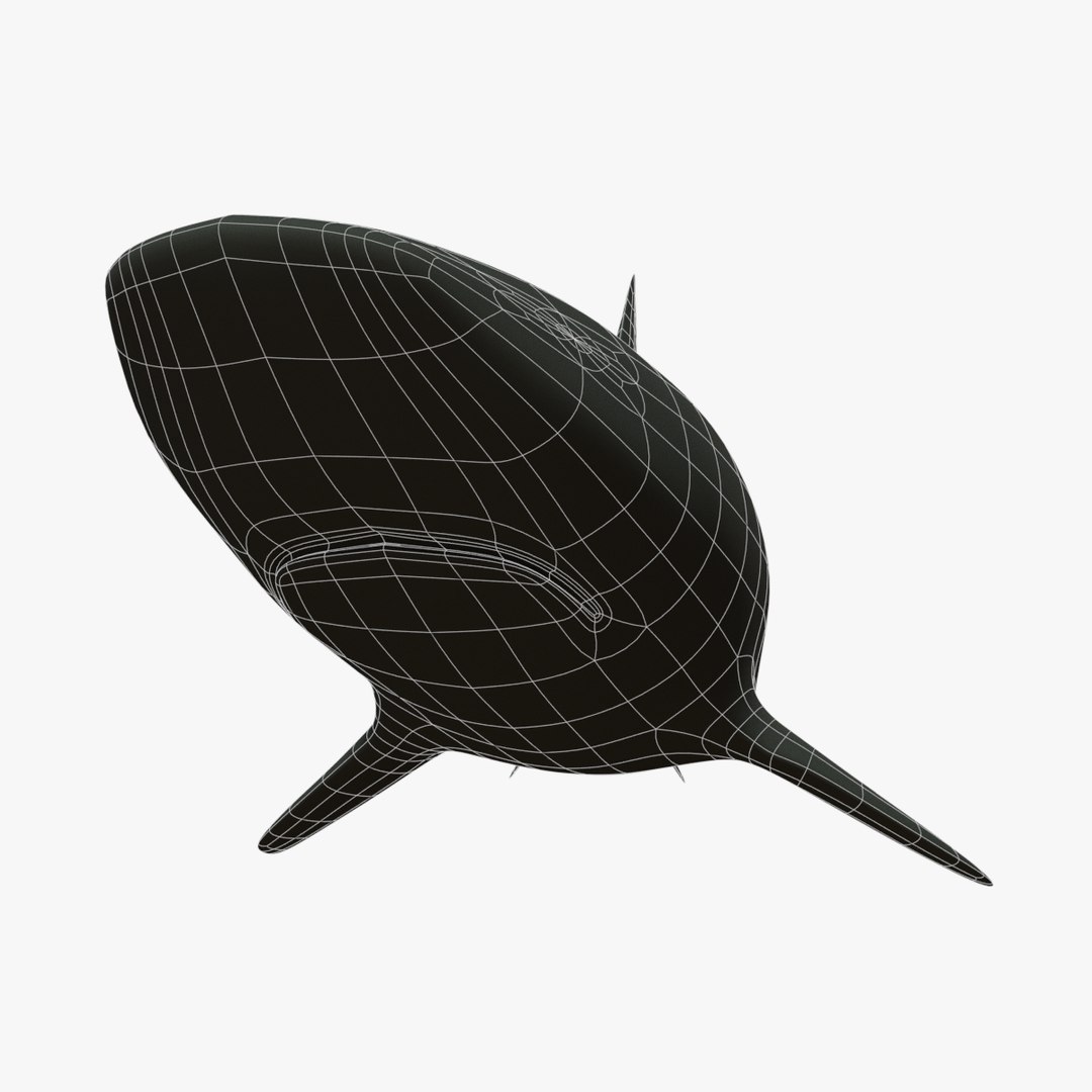 Blacktip Reef Shark 3d Model