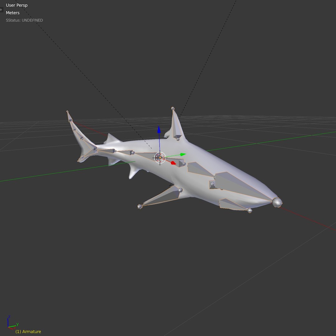 Blacktip Reef Shark 3d Model