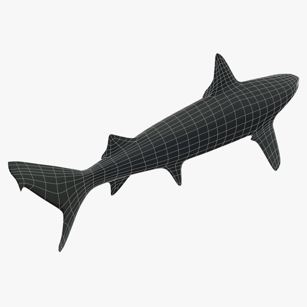 blacktip reef shark 3d model