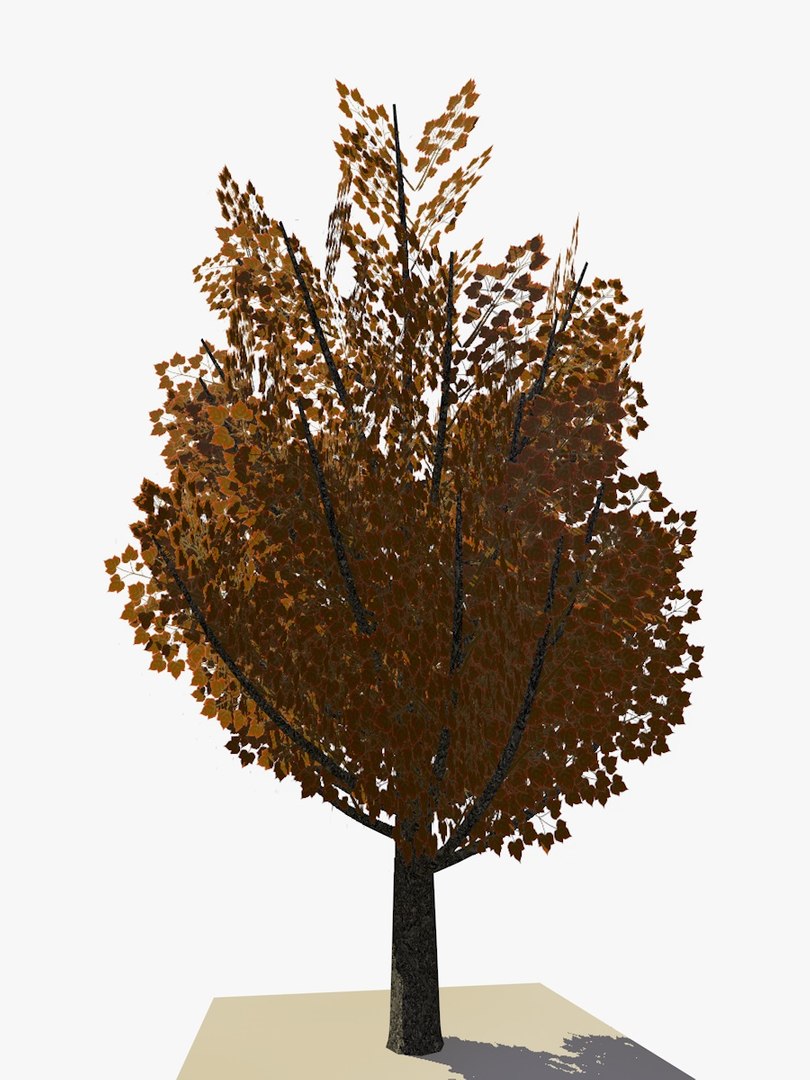Tree Animations C4d