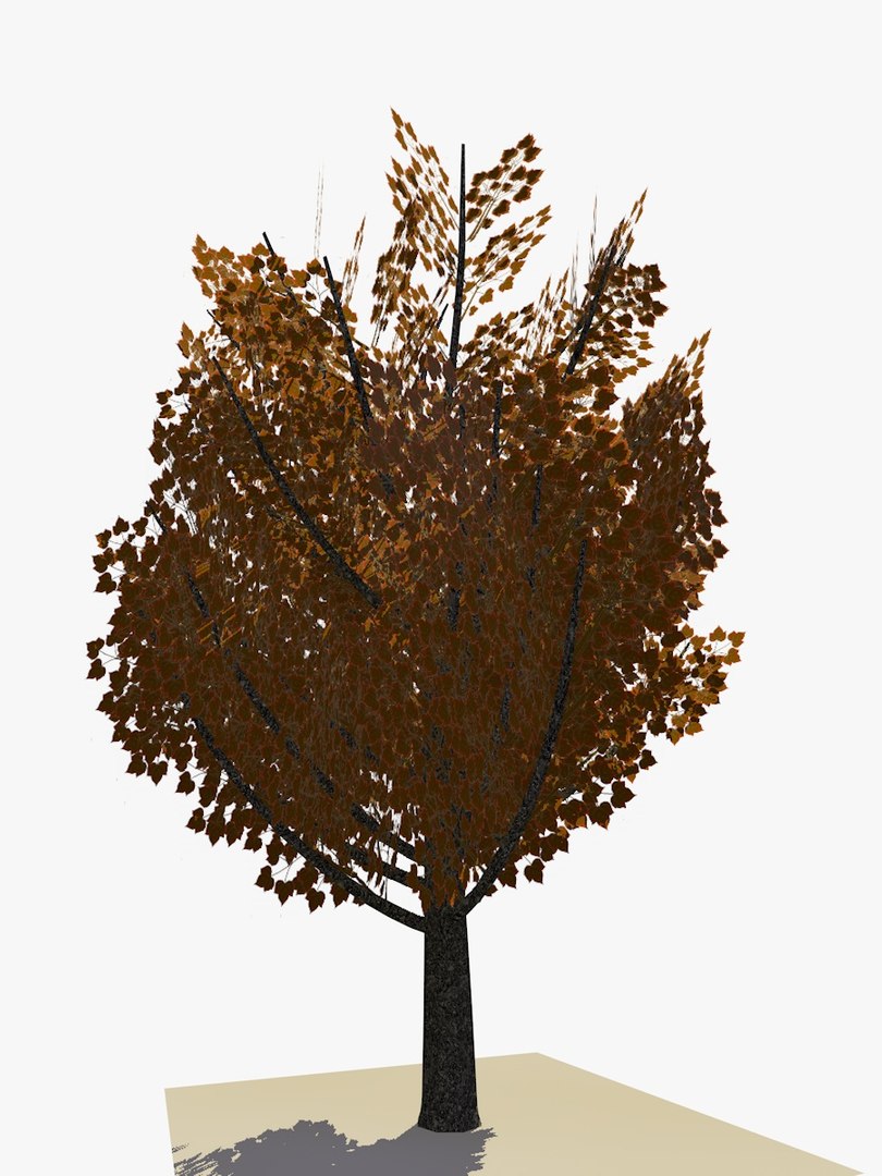 Tree Animations C4d