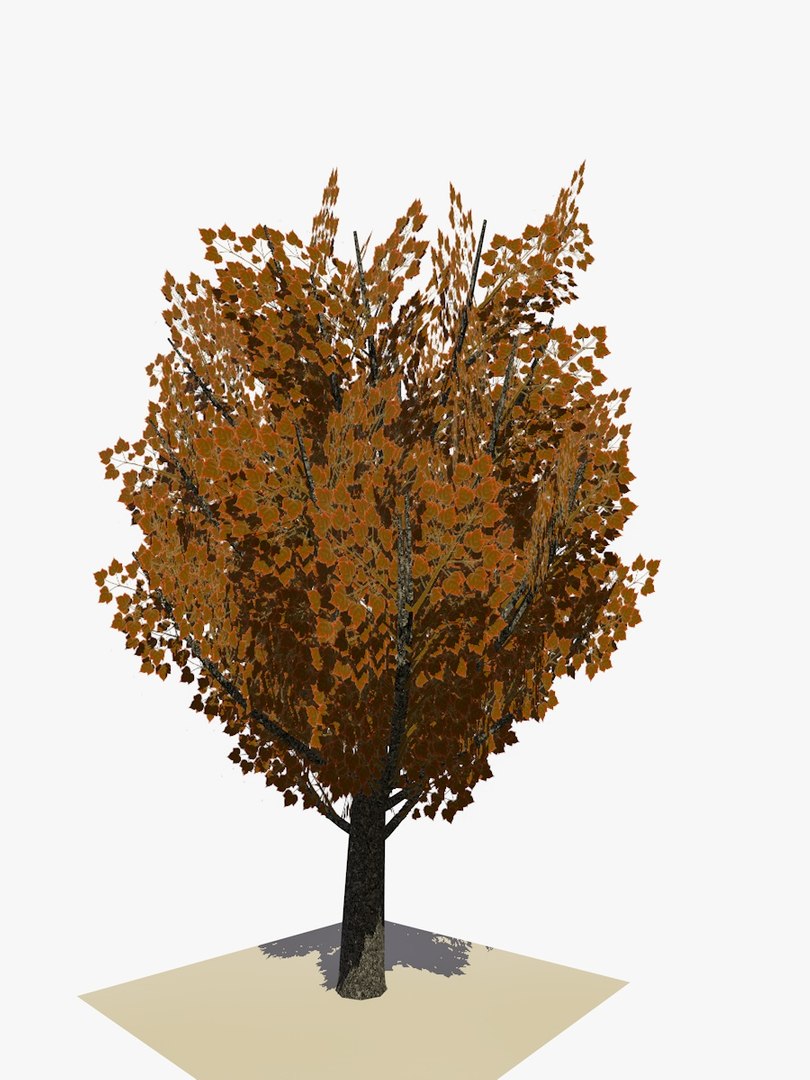 Tree Animations C4d