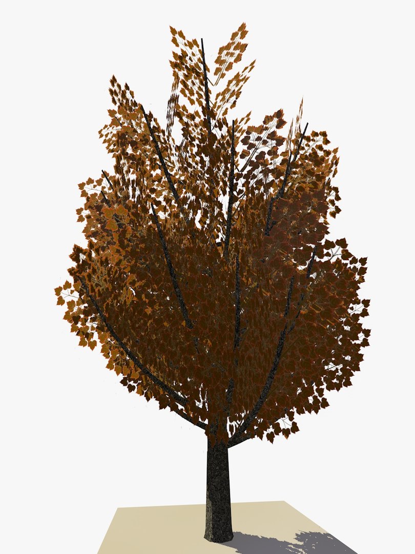 Tree Animations C4d