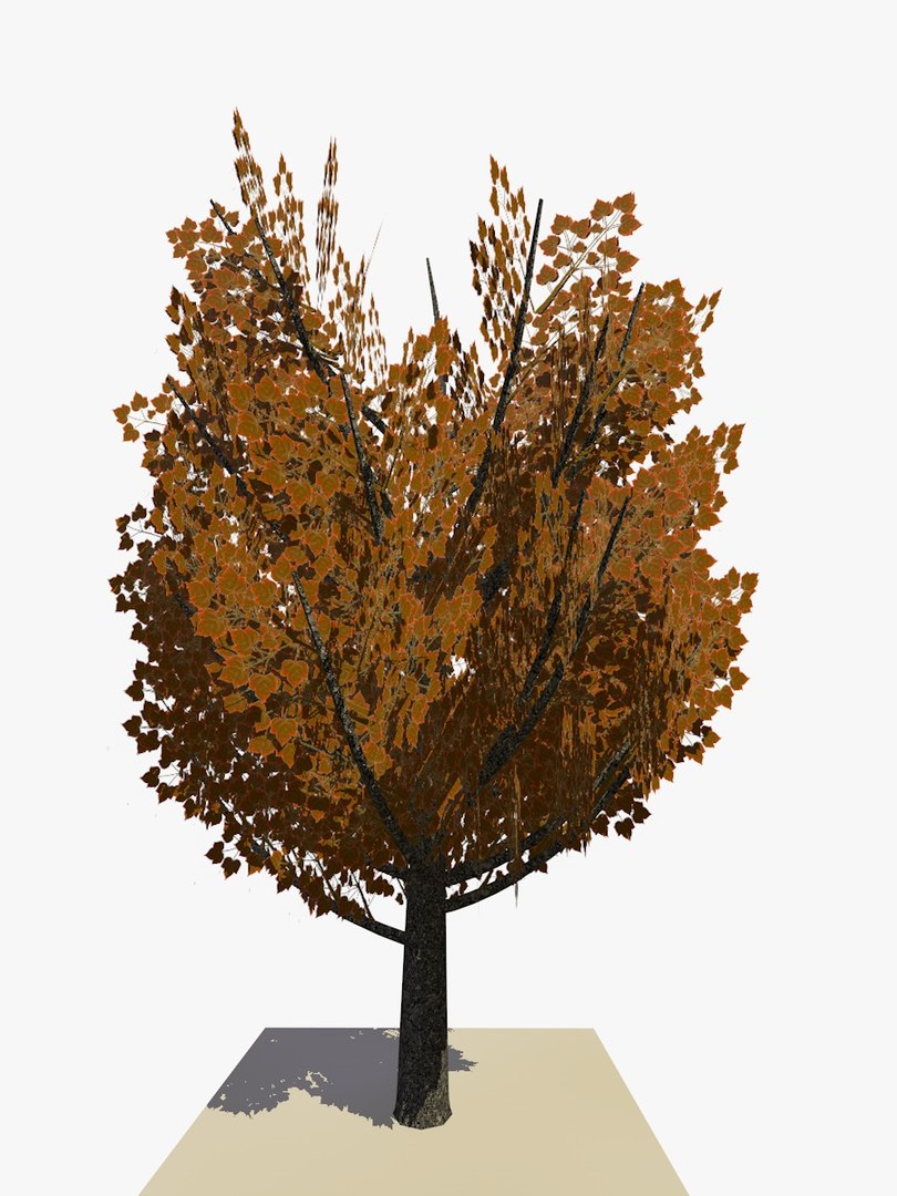 Tree Animations C4d