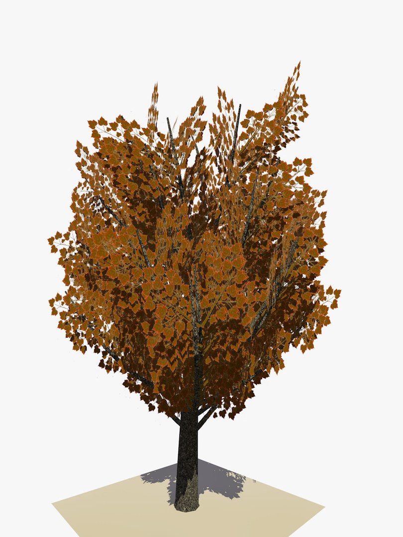 Tree Animations C4d