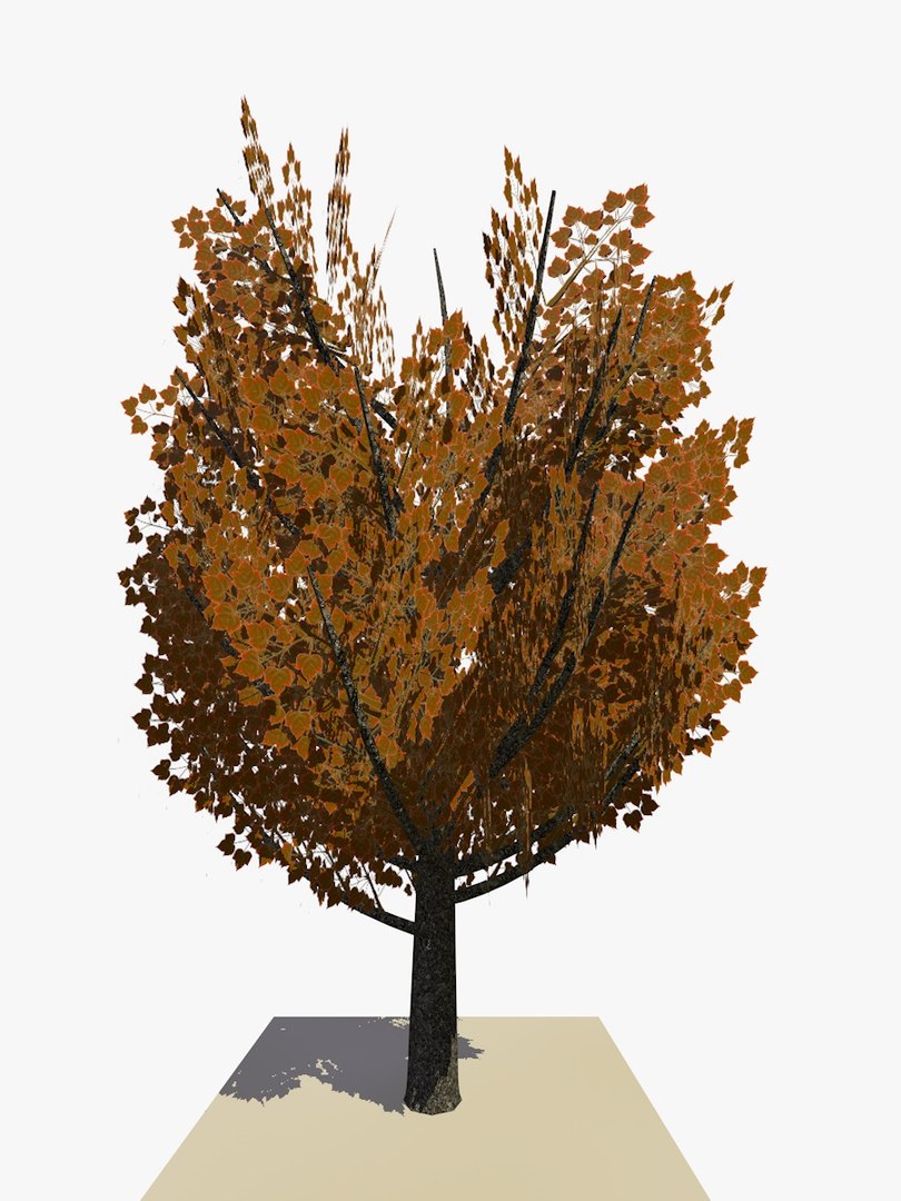 Tree Animations C4d