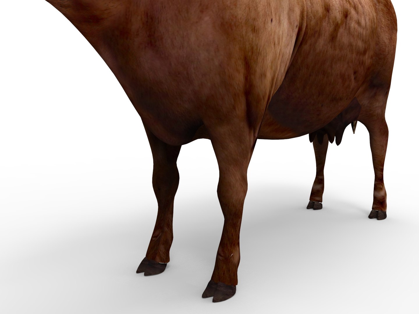 3D Cow Cattle - TurboSquid 1196485