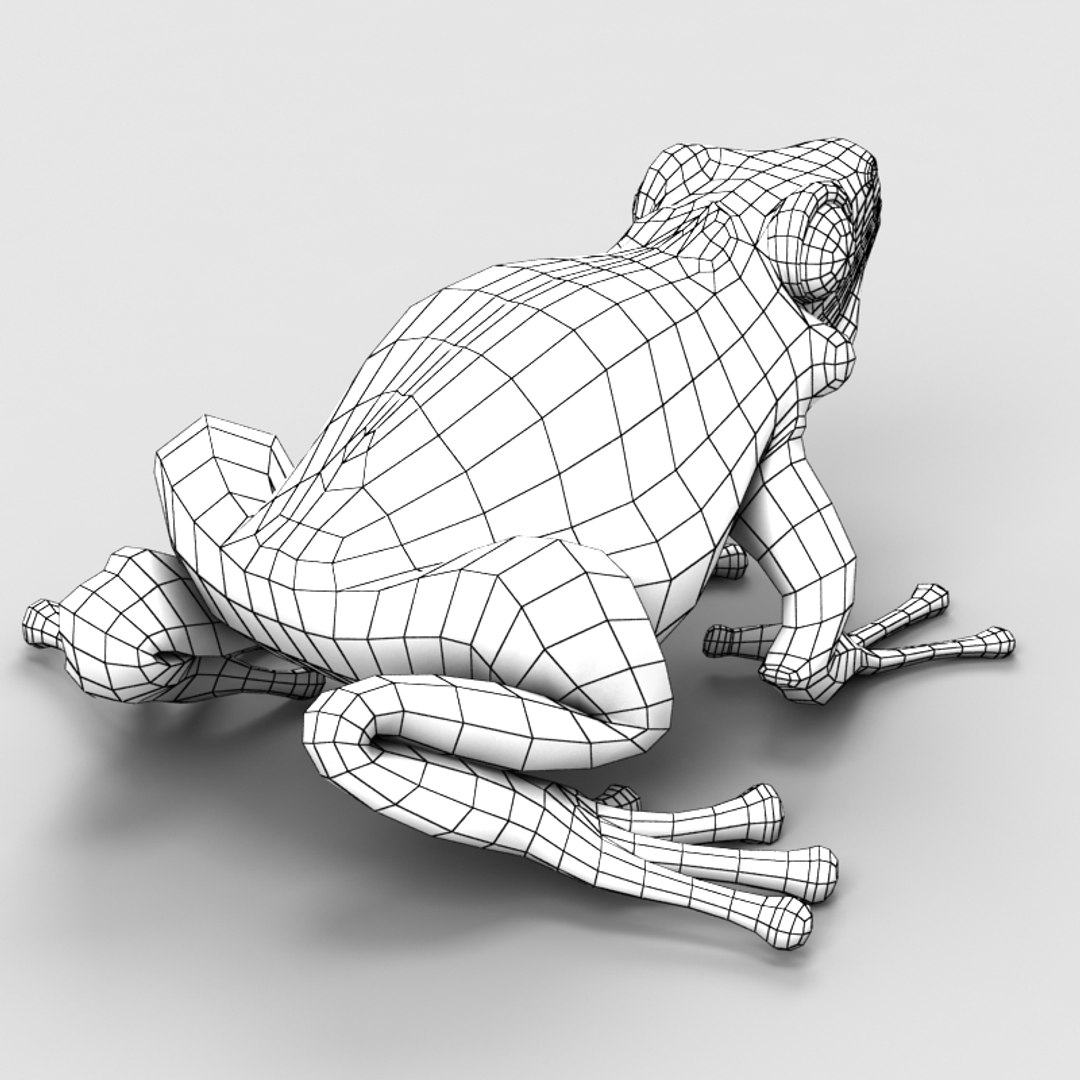 3d Model Frog