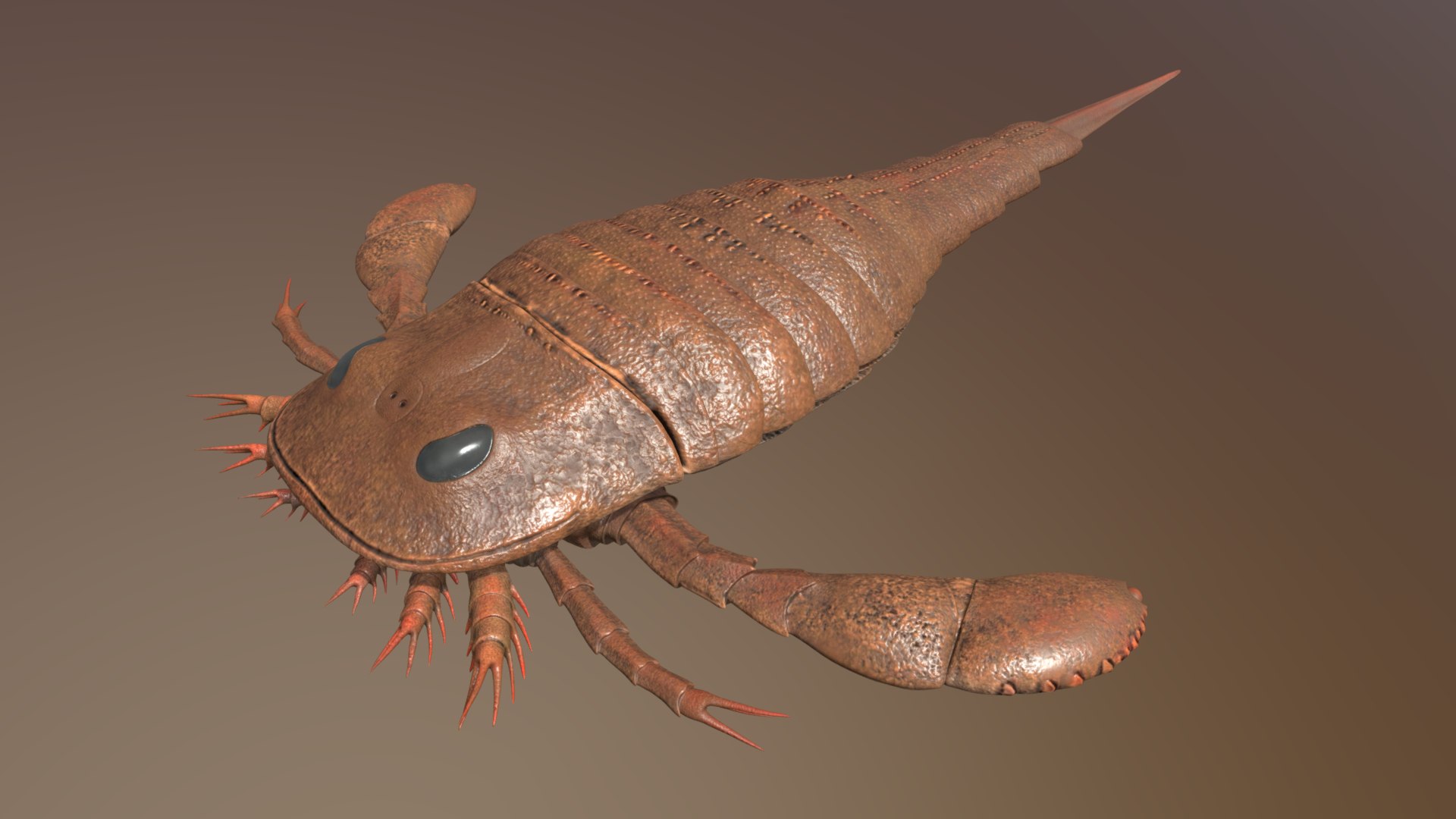 3D Eurypterus - TurboSquid 1359593
