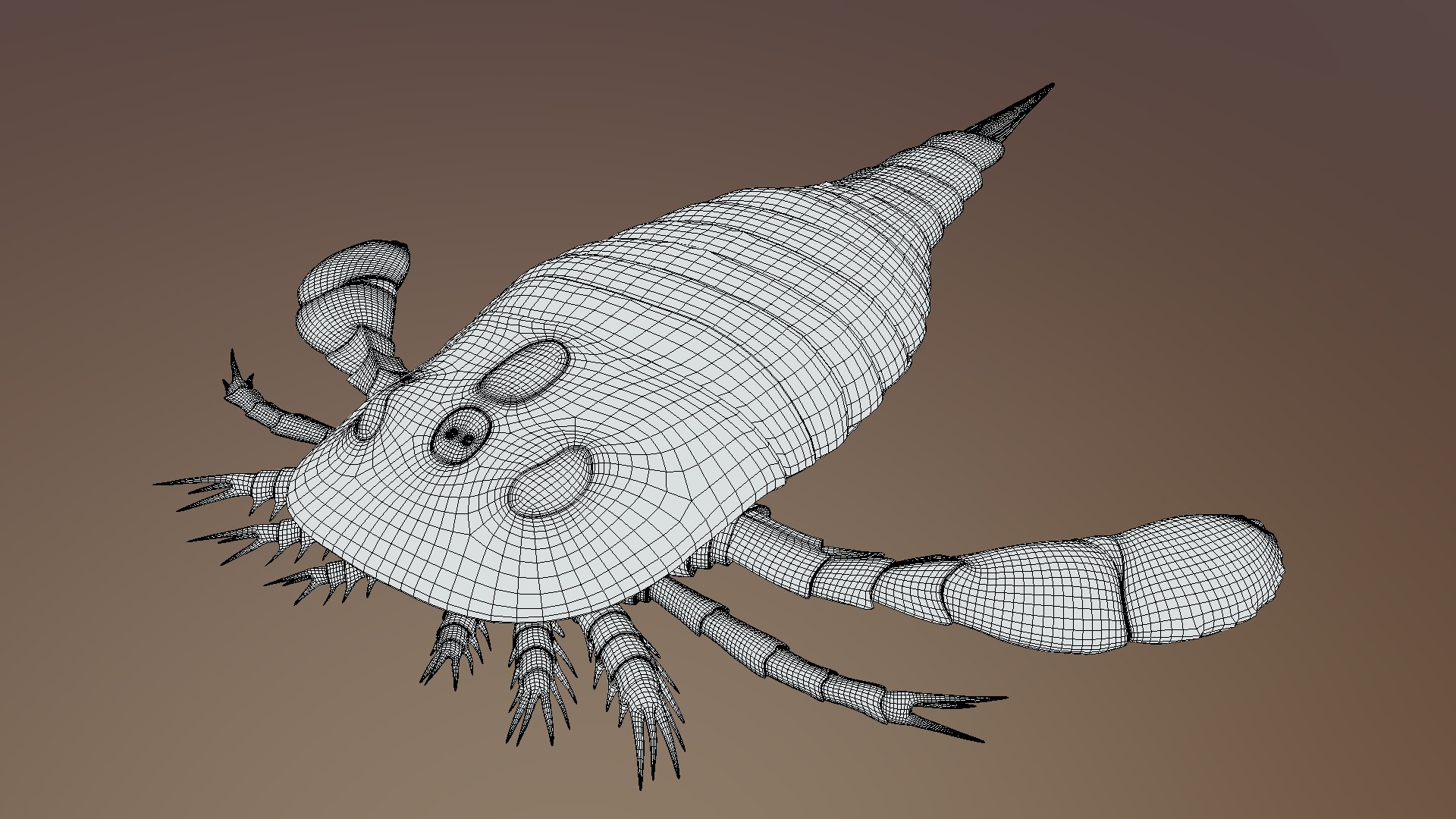 3D Eurypterus - TurboSquid 1359593