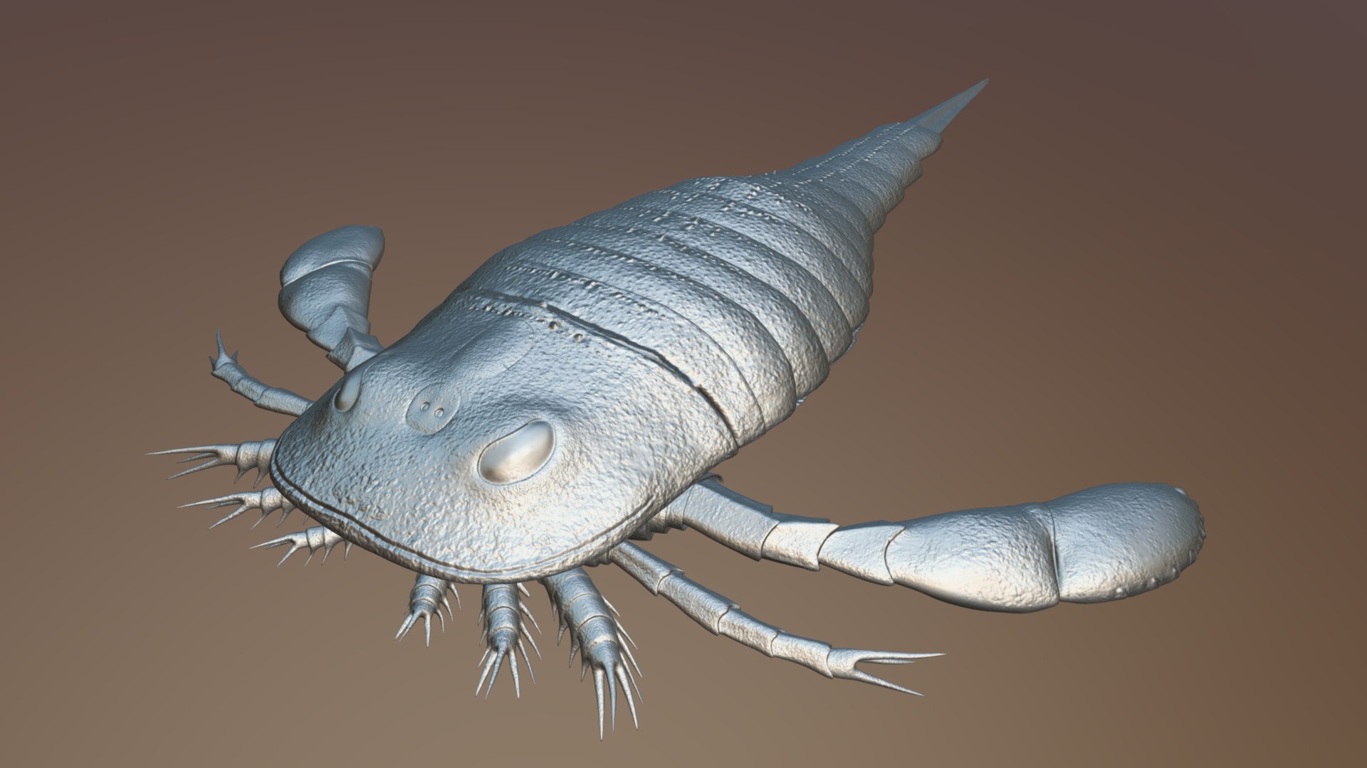 3D Eurypterus - TurboSquid 1359593