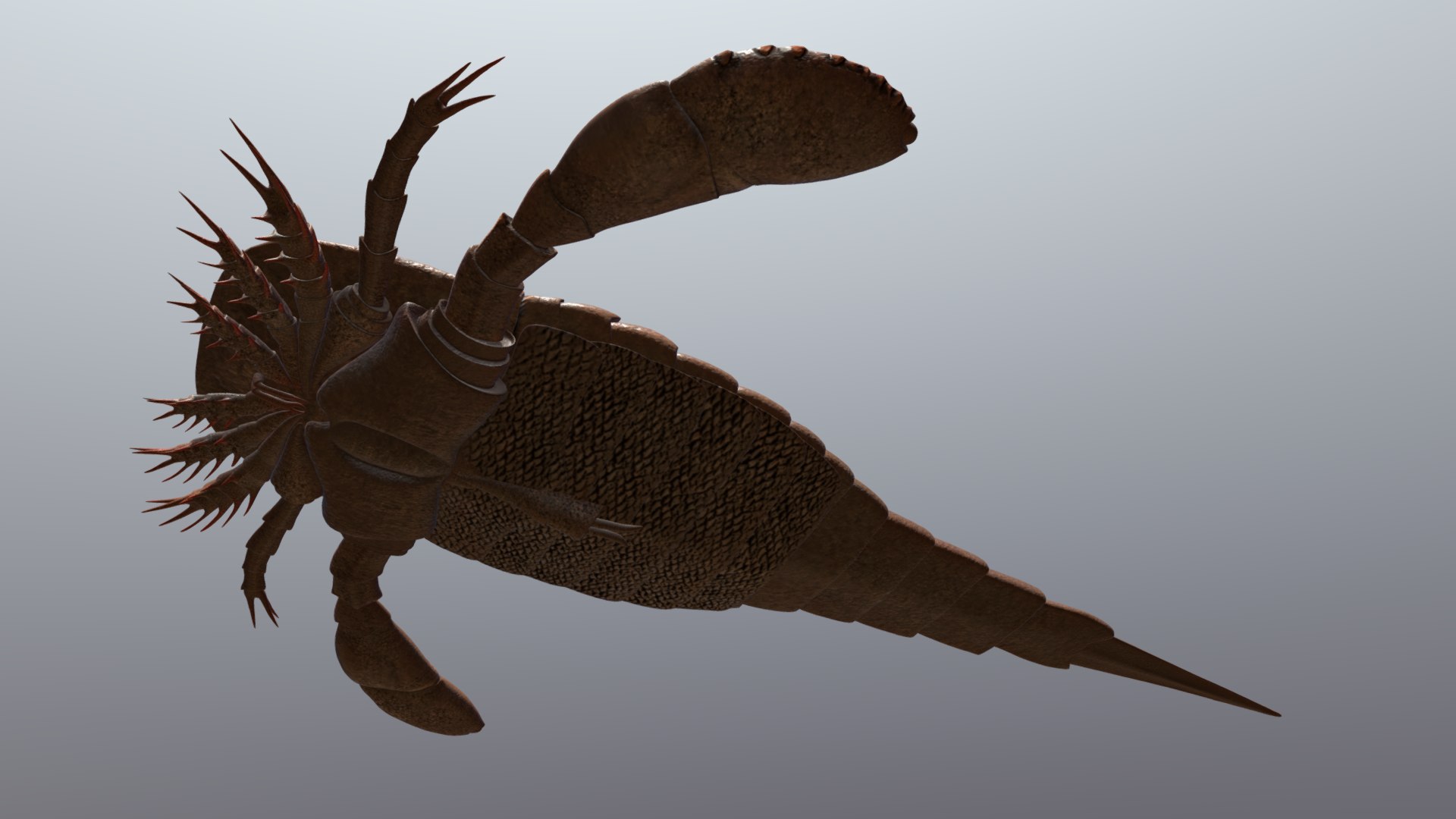 3D Eurypterus - TurboSquid 1359593