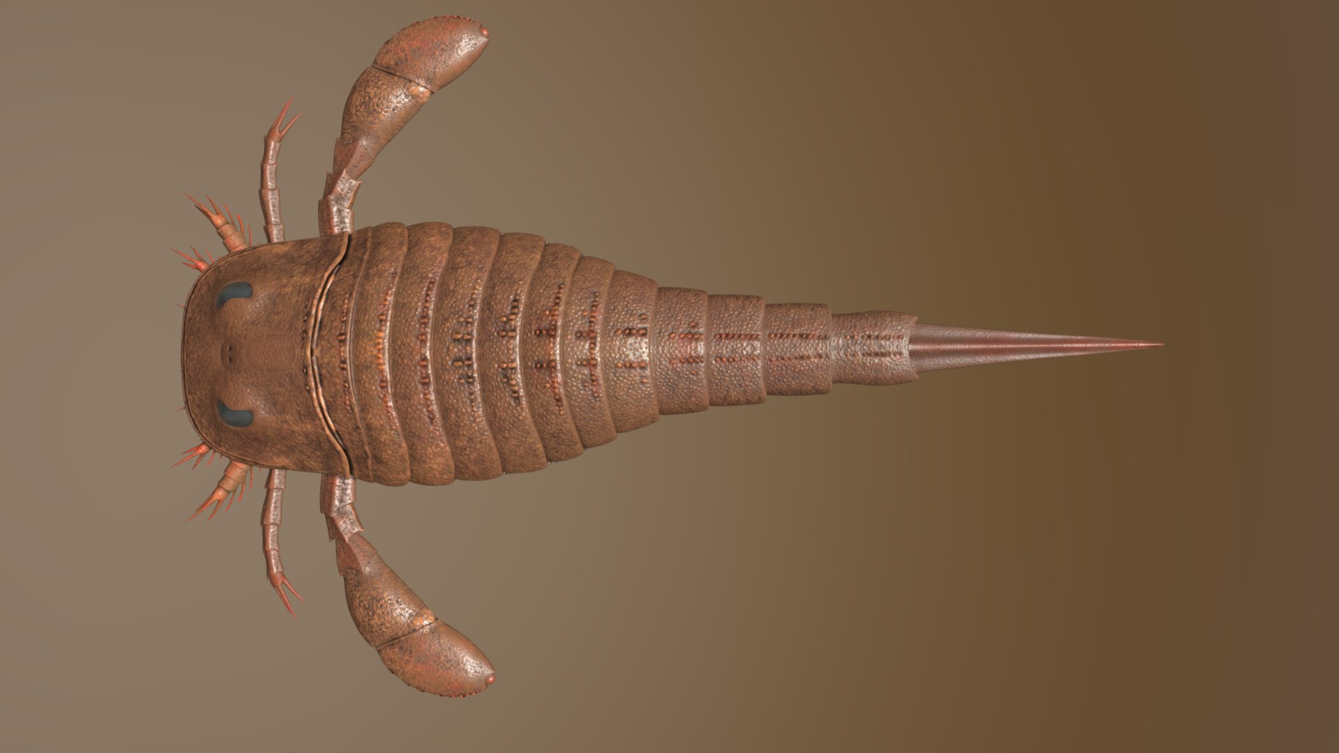 3D Eurypterus - TurboSquid 1359593