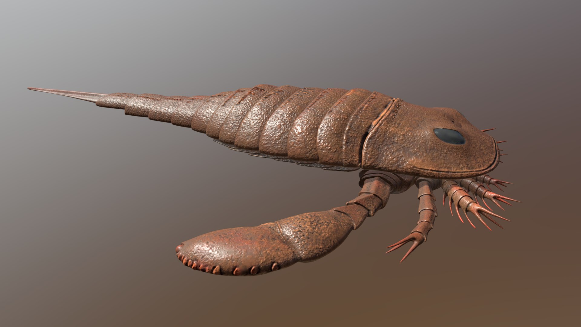 3D Eurypterus - TurboSquid 1359593