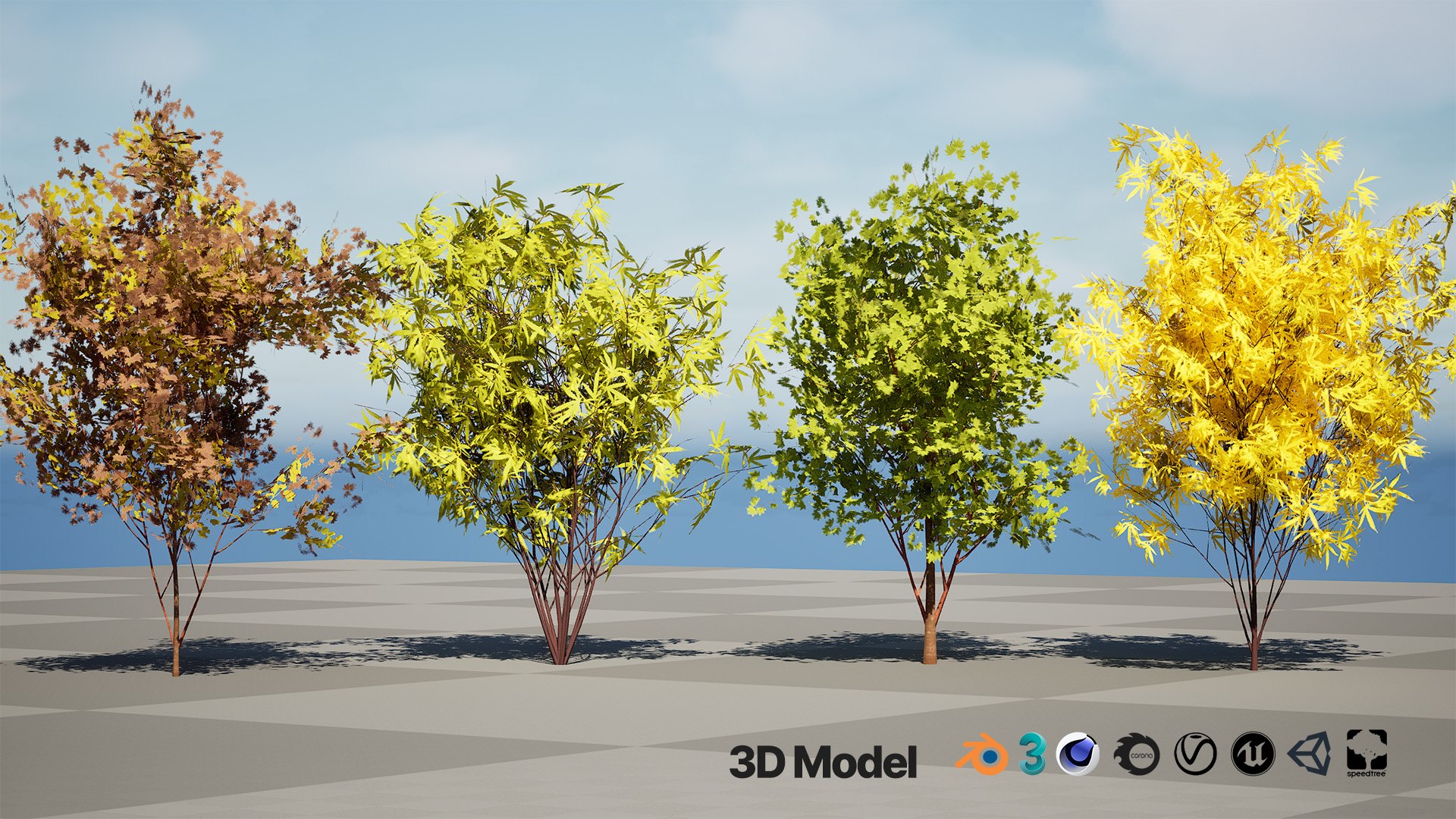 3D Maple Tree Asset 3D Model - TurboSquid 2290230