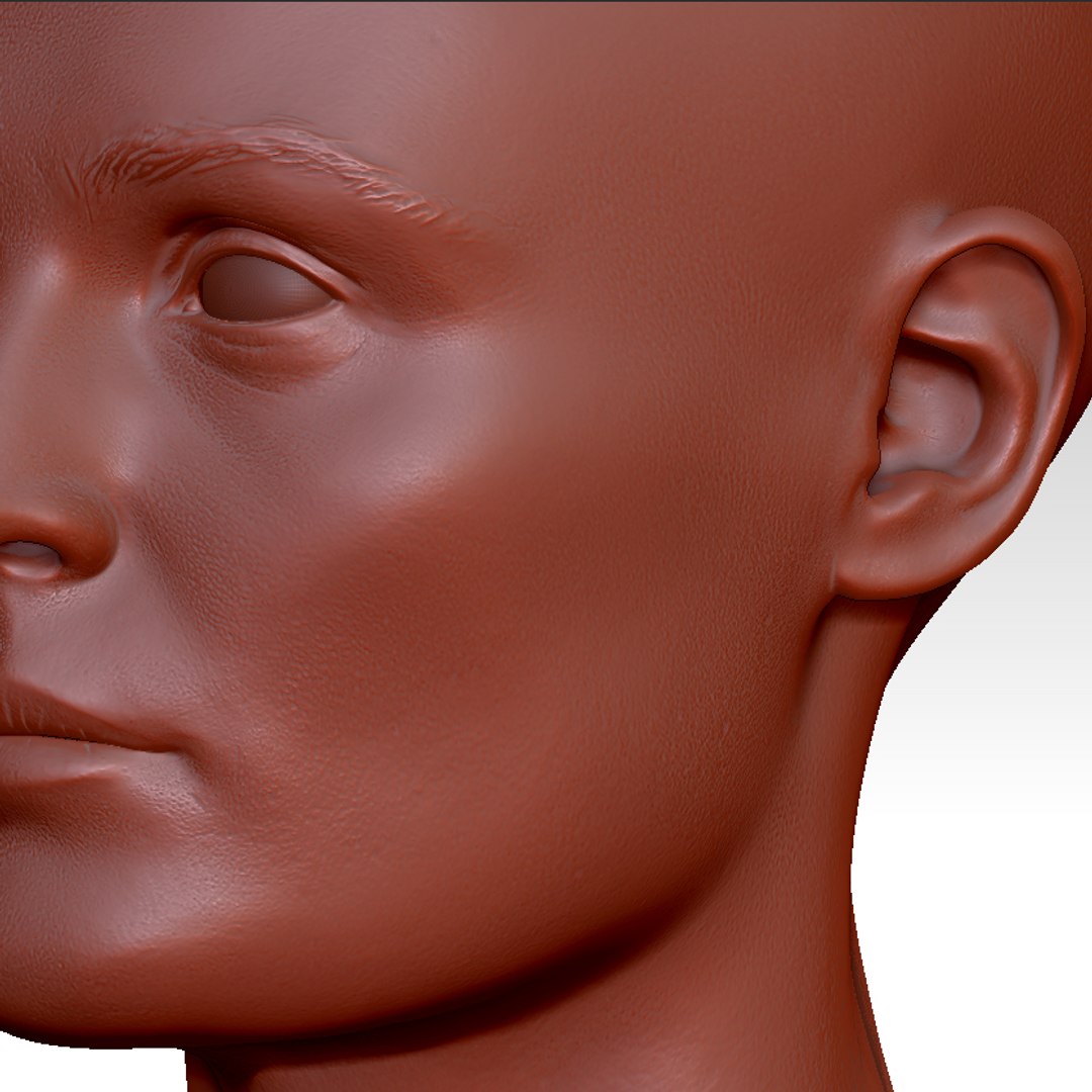 Head Girl Human 3d Model