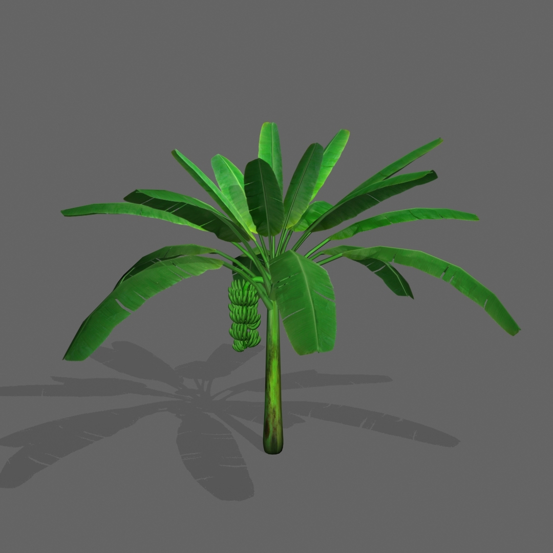 3d Banana Tree