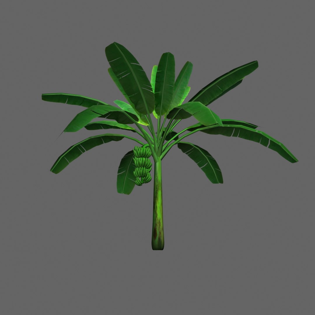 3d Banana Tree