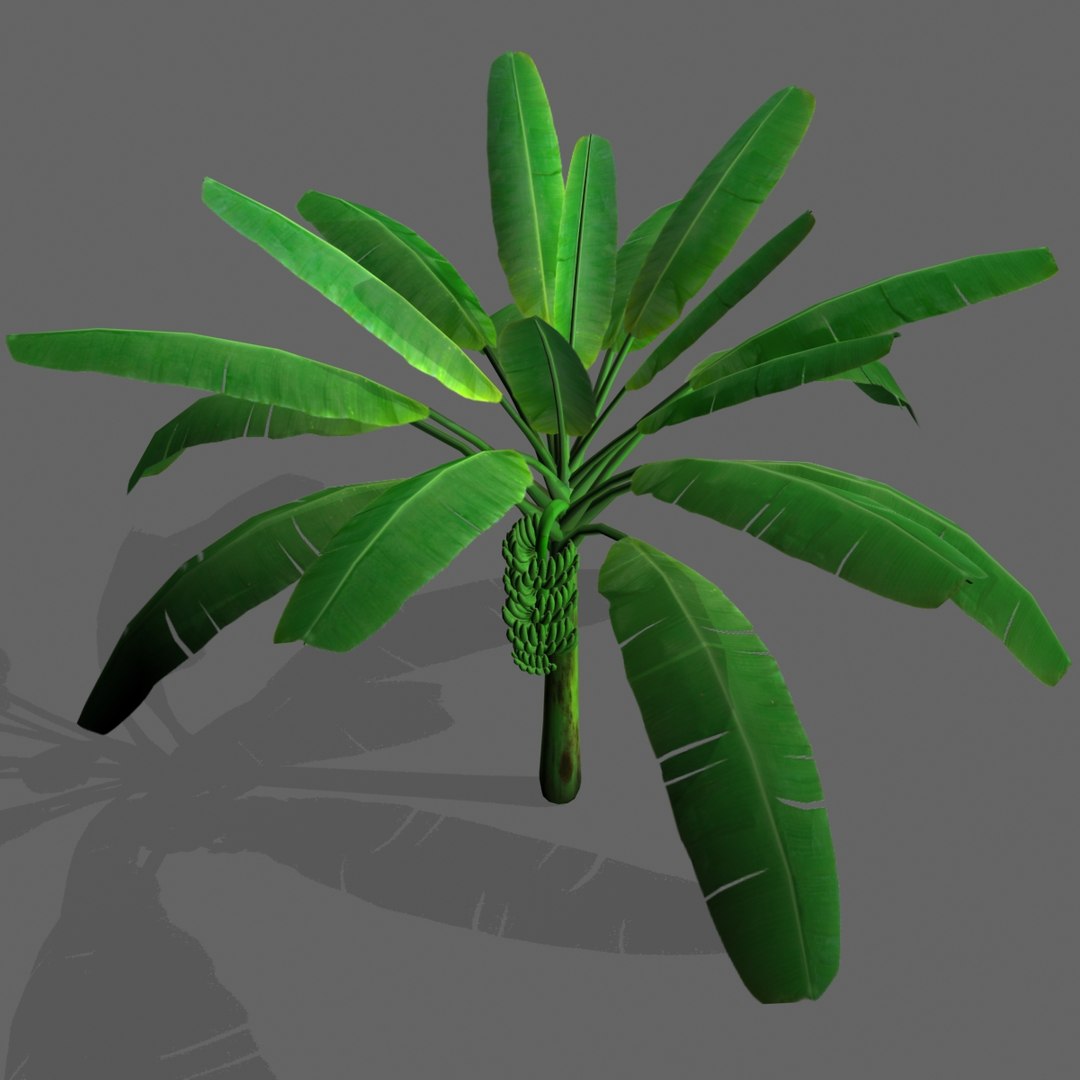 3d Banana Tree