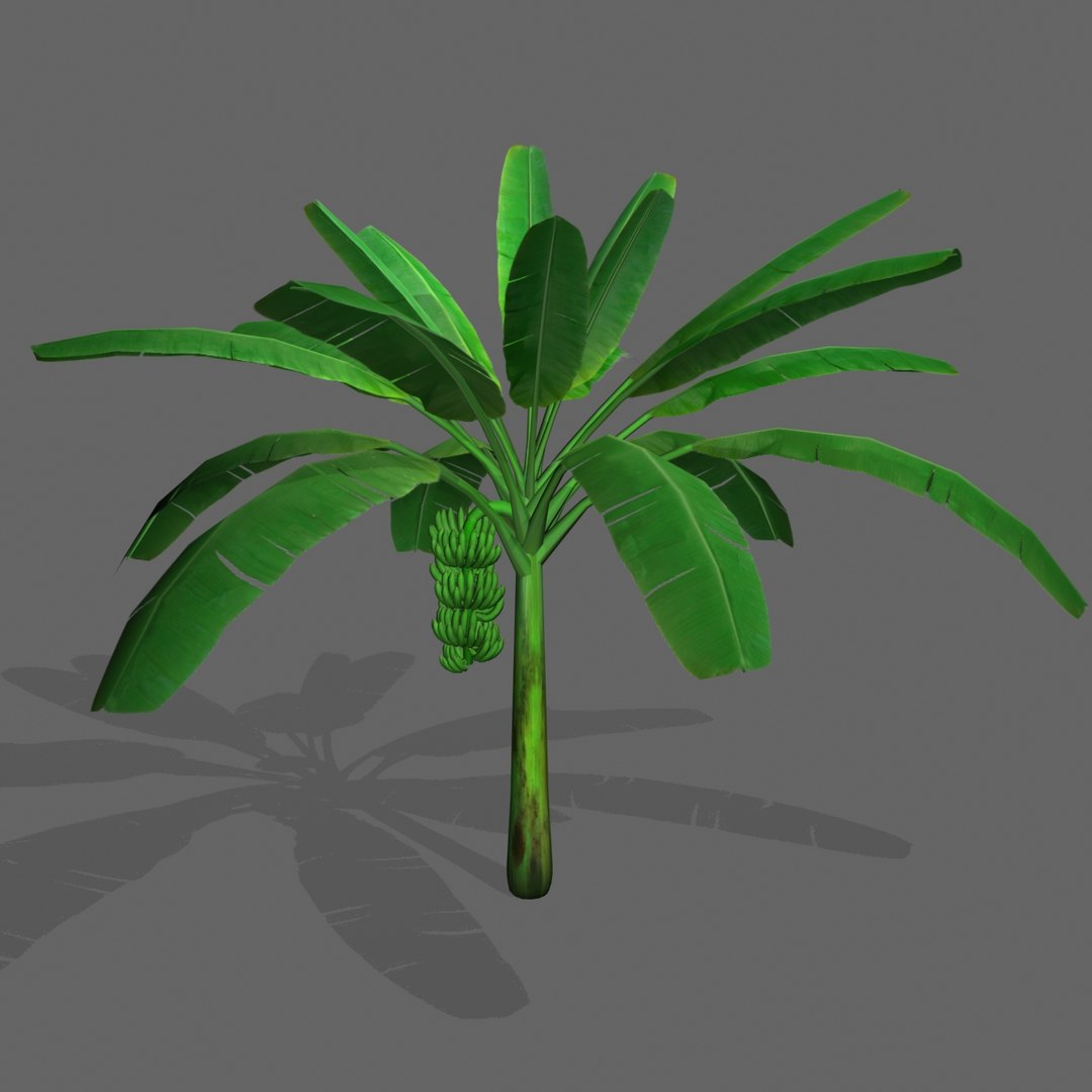 3d Banana Tree
