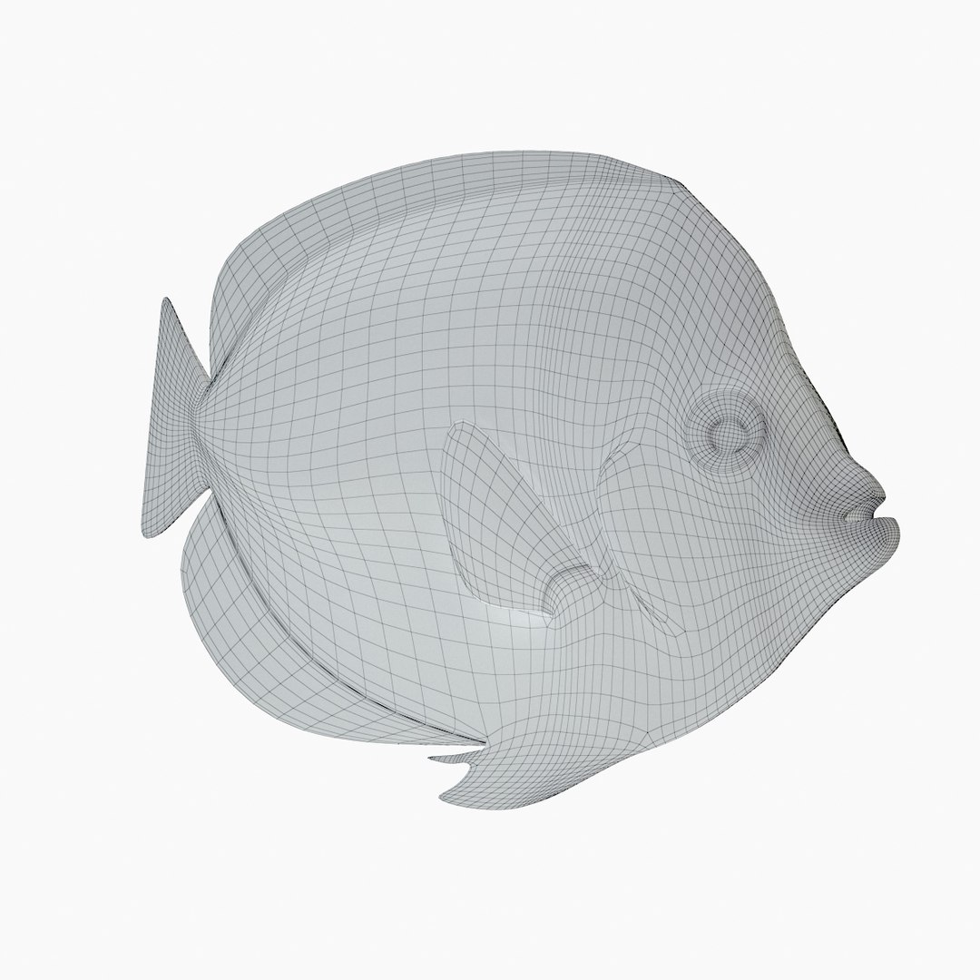 3d model angel fish