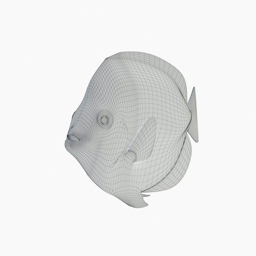 3d model angel fish
