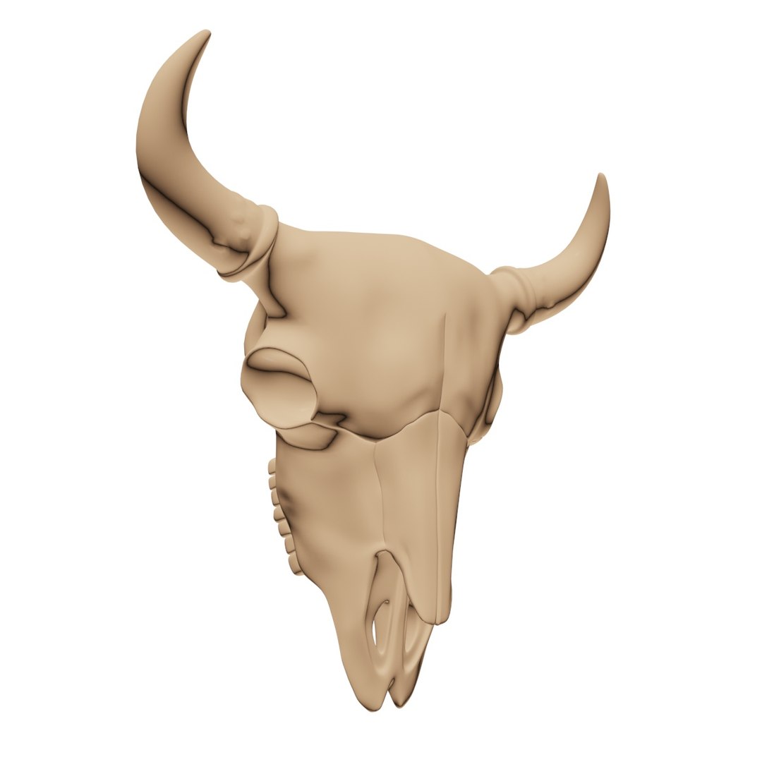 3D Art Decor Buffalo Trophy - TurboSquid 1334312