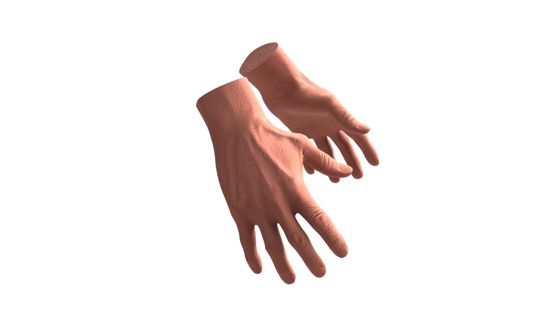3D Model Rigged Hands 3D Model High Detail Animation Ready Clean ...