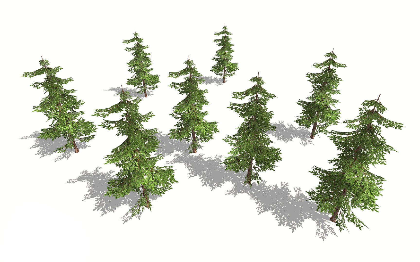 3D Model Pine Tree Realistic - TurboSquid 1517326
