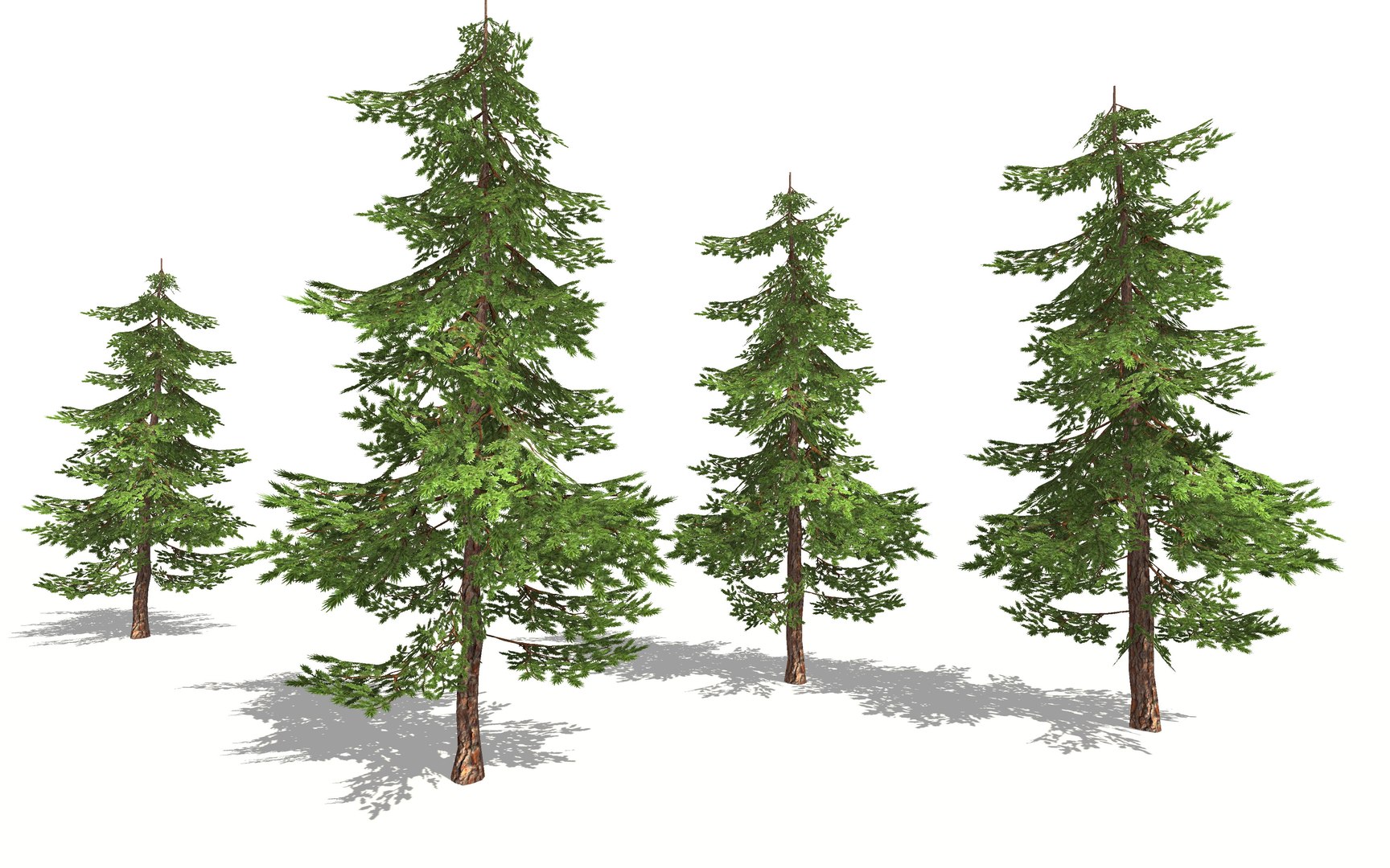 3D Model Pine Tree Realistic - TurboSquid 1517326