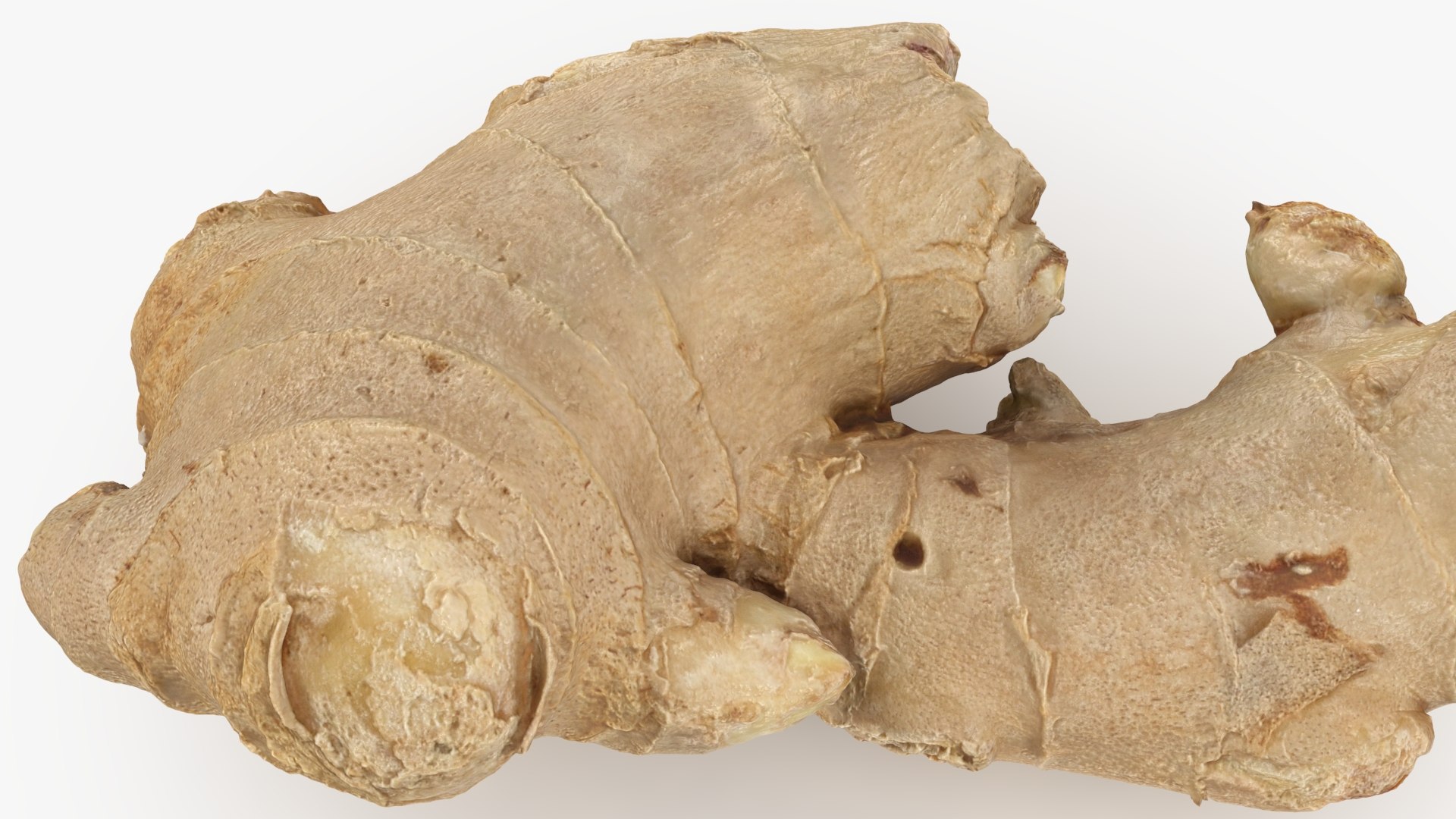 3D Ginger Collection - TurboSquid 2388045