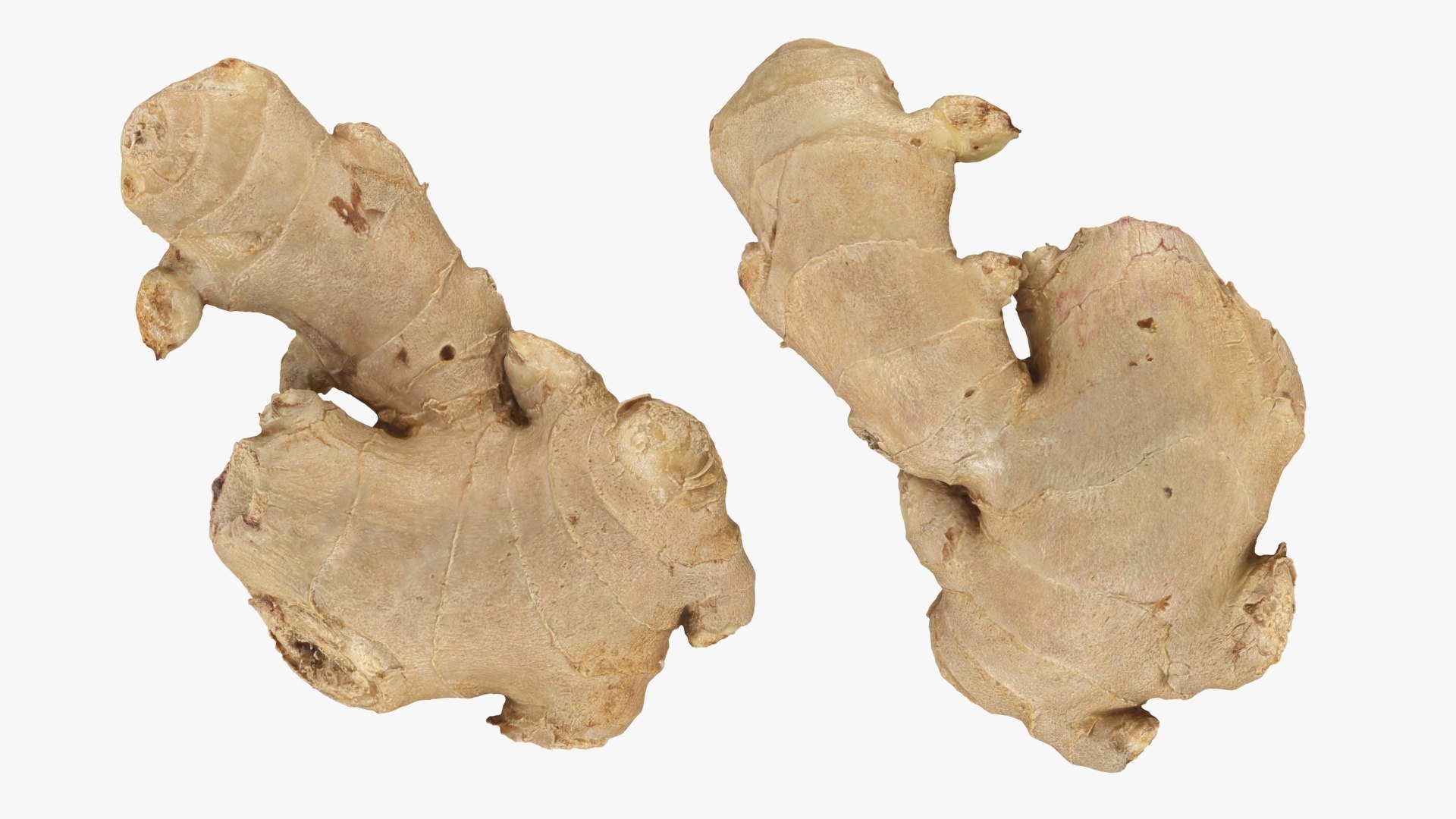 3D Ginger Collection - TurboSquid 2388045