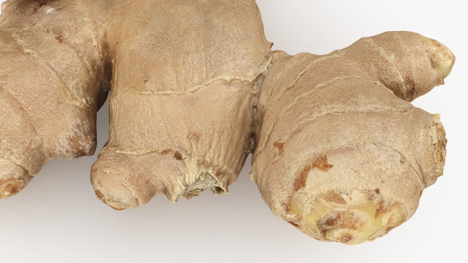 3D Ginger Collection - TurboSquid 2388045