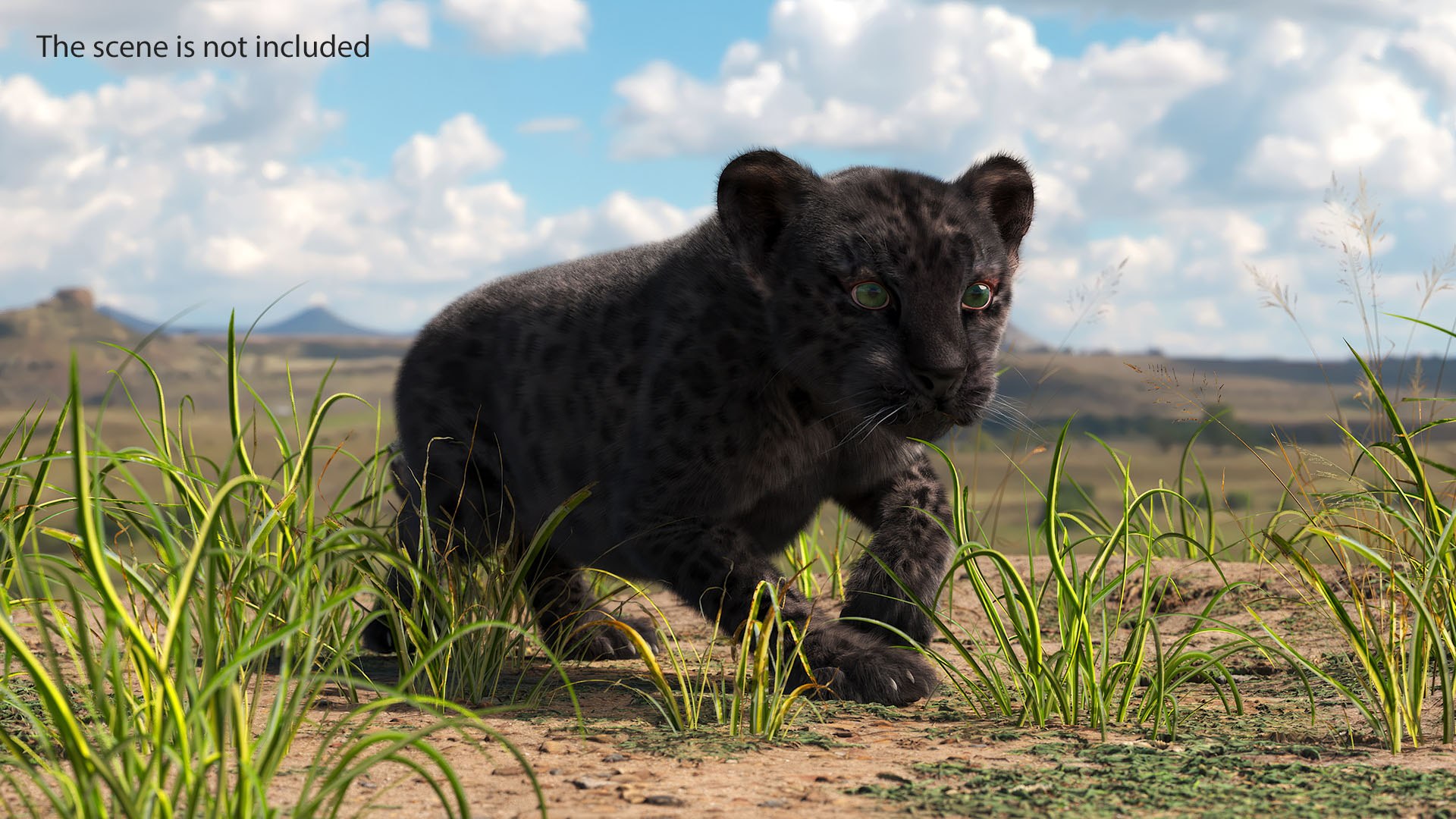 Black Leopard Cub Sneaking Pose With Fur 3D - TurboSquid 2347163