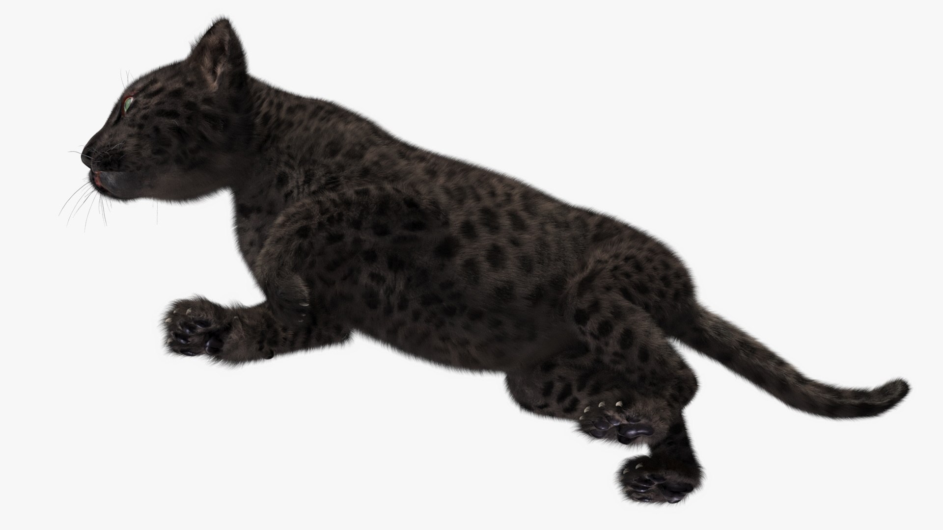Black Leopard Cub Sneaking Pose With Fur 3D - TurboSquid 2347163