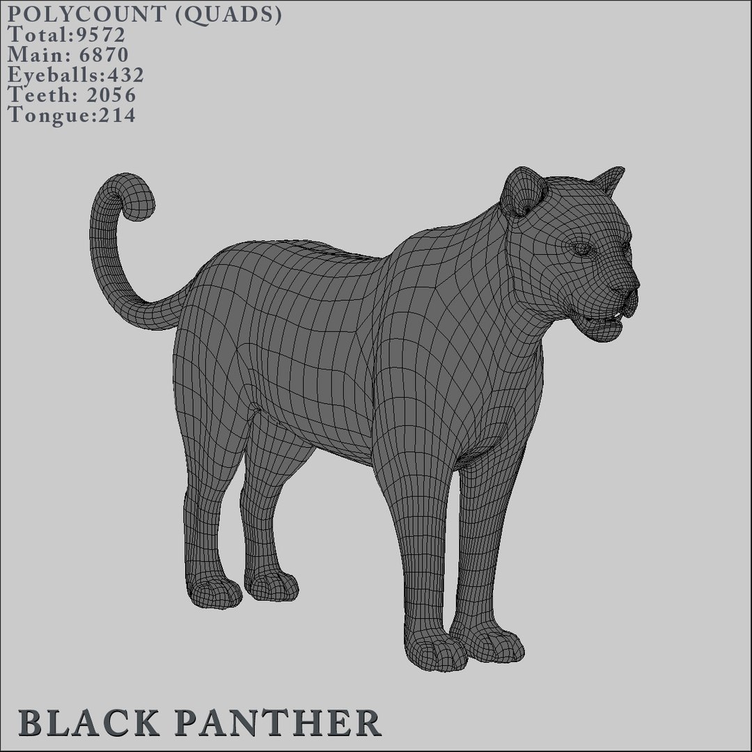 Black Panther 3d Model