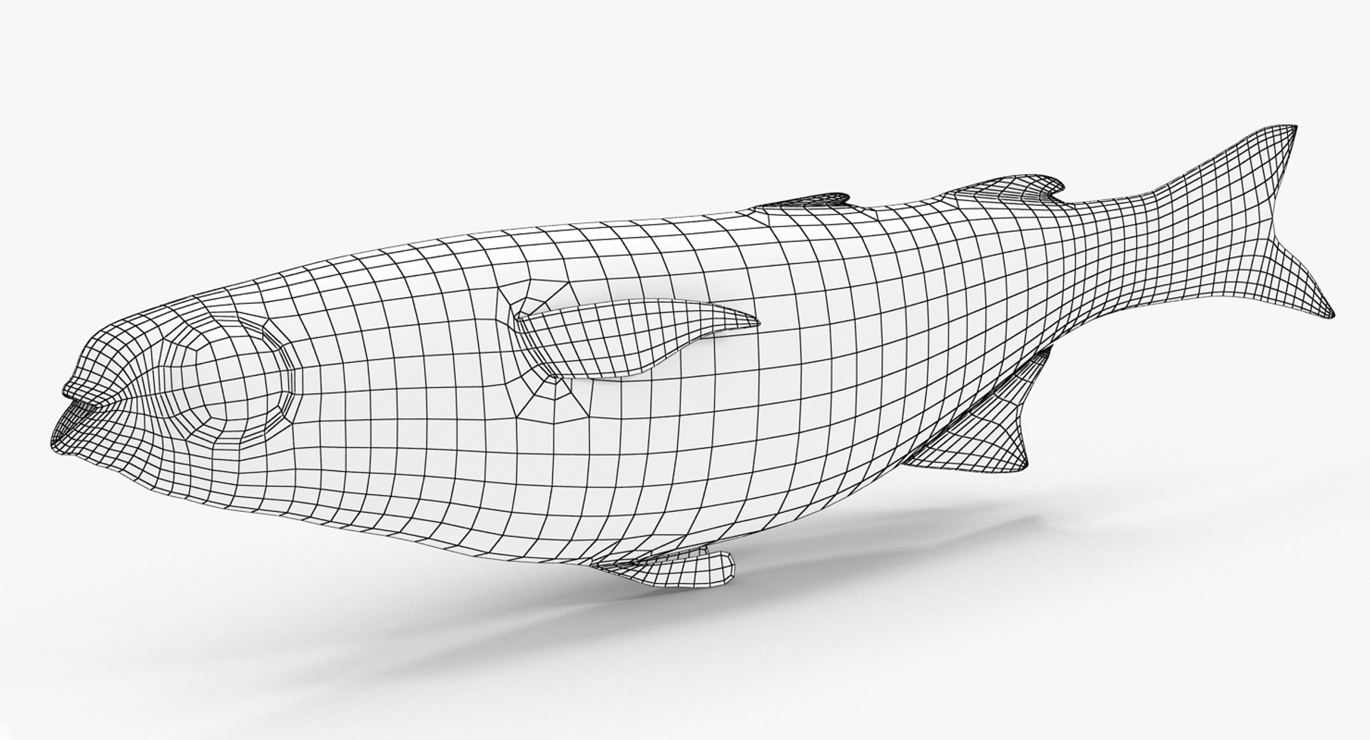 Mullet 3d Model