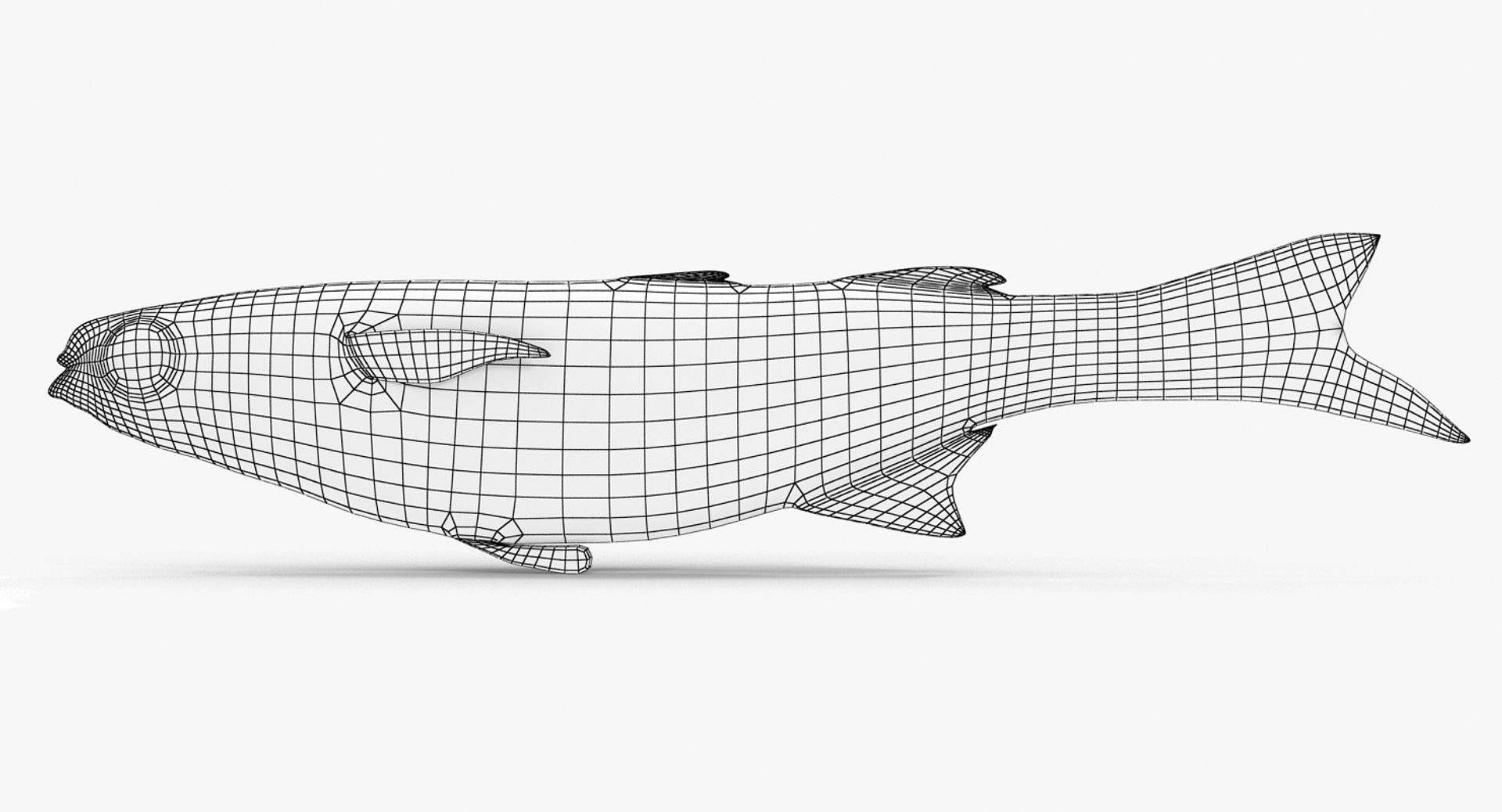 Mullet 3d Model