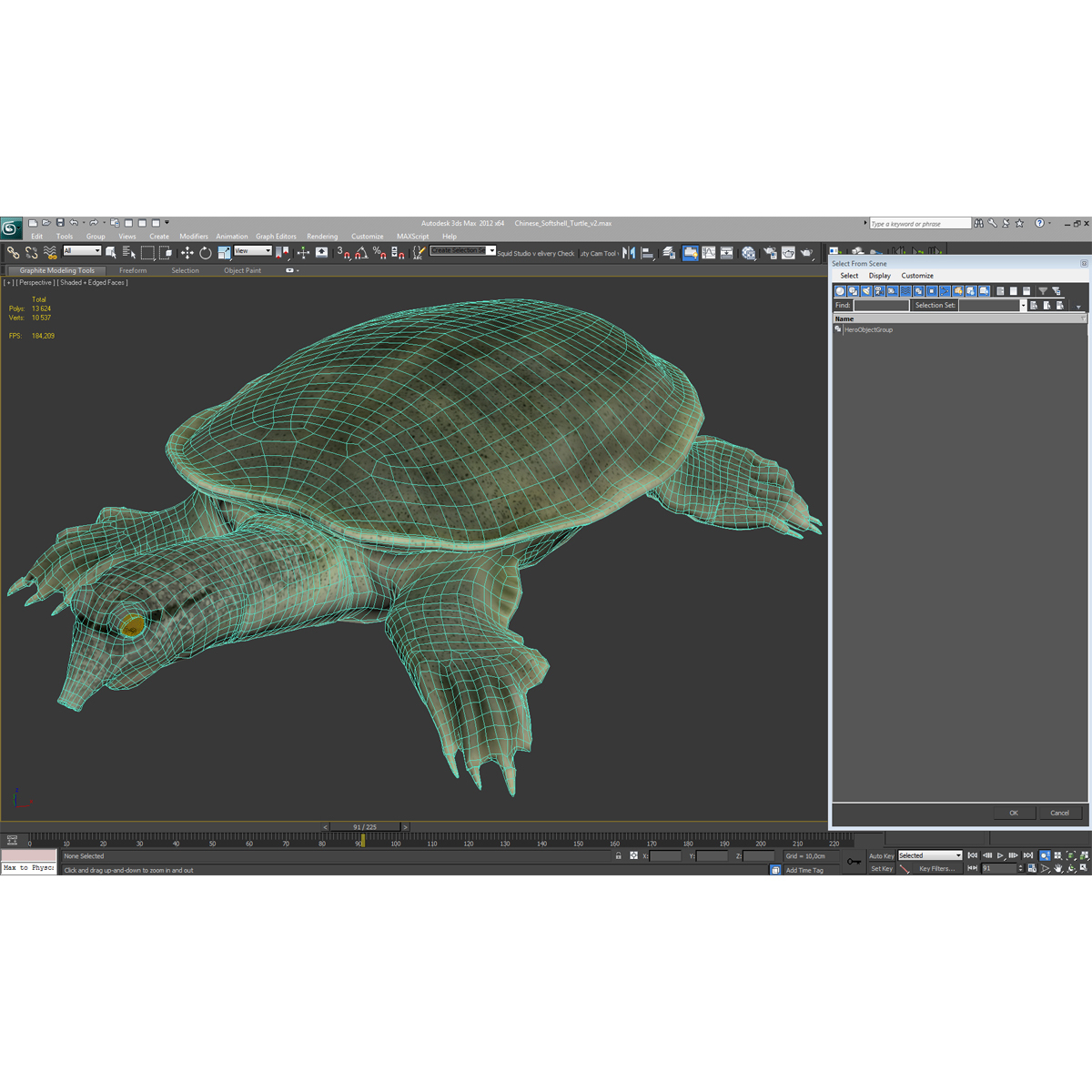 chinese softshell turtle